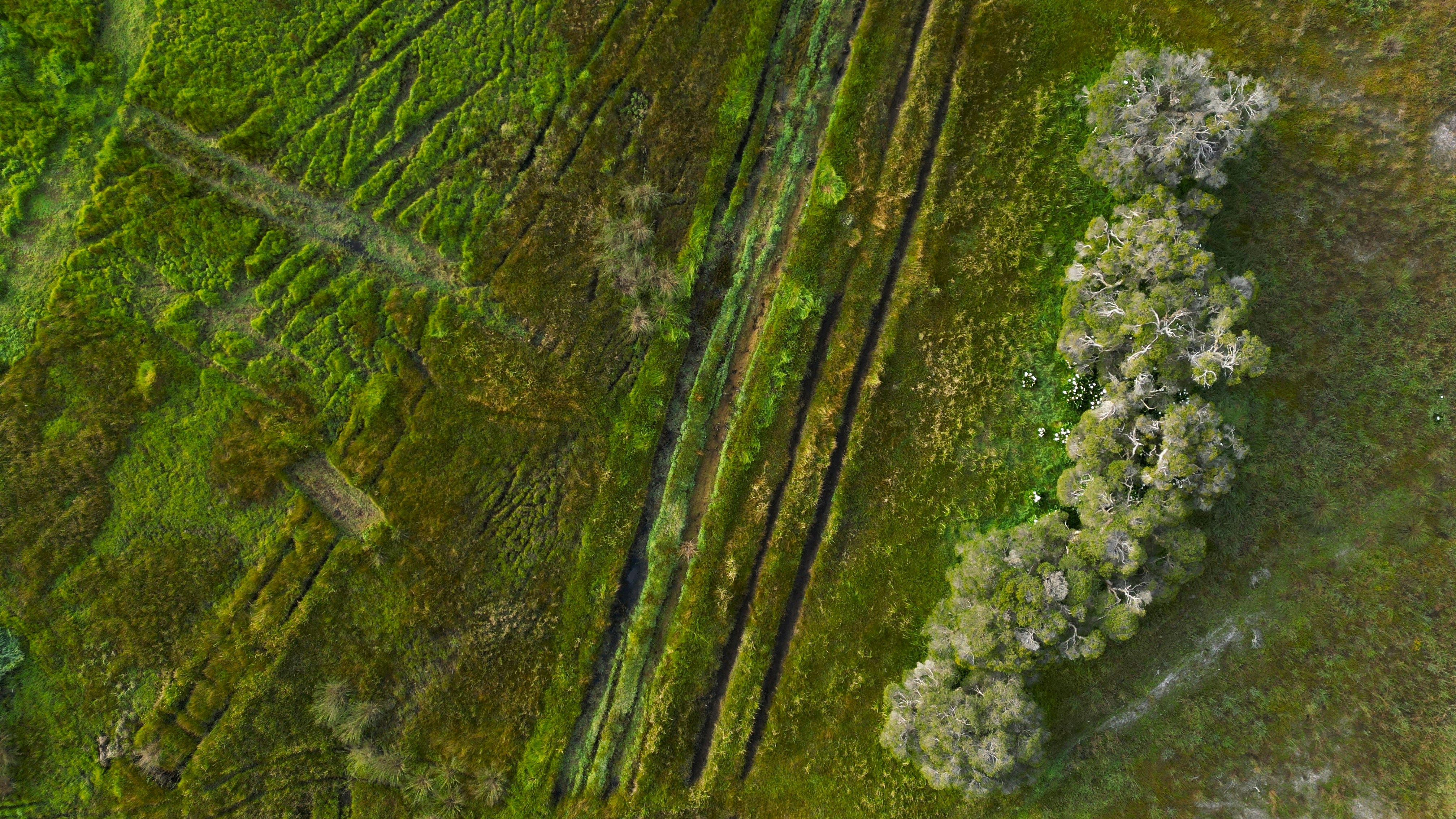 A bird's eye view of a lush green field photo – Free Western australia ...