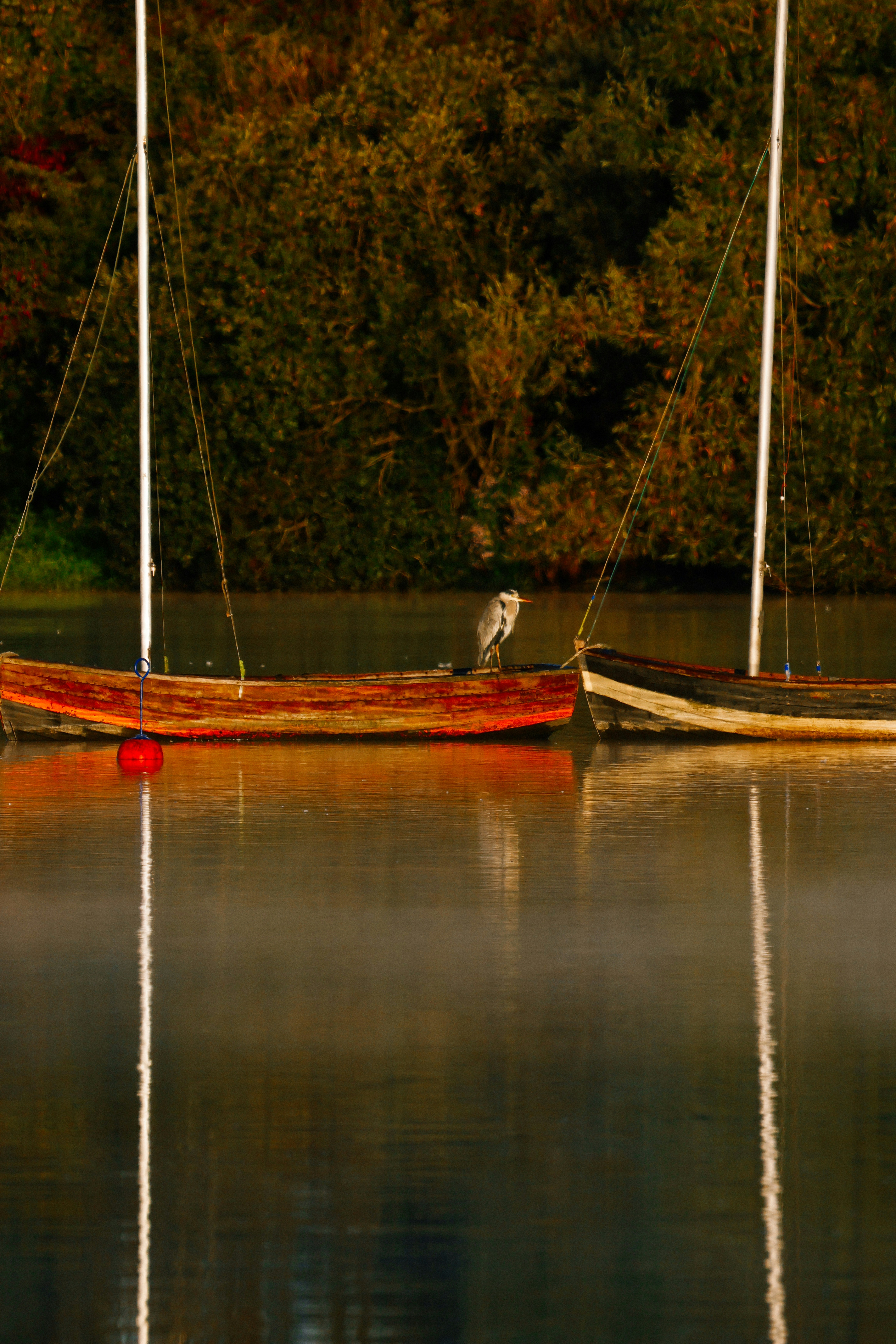 Photo by Kevin Grieve with Canon EOS R7