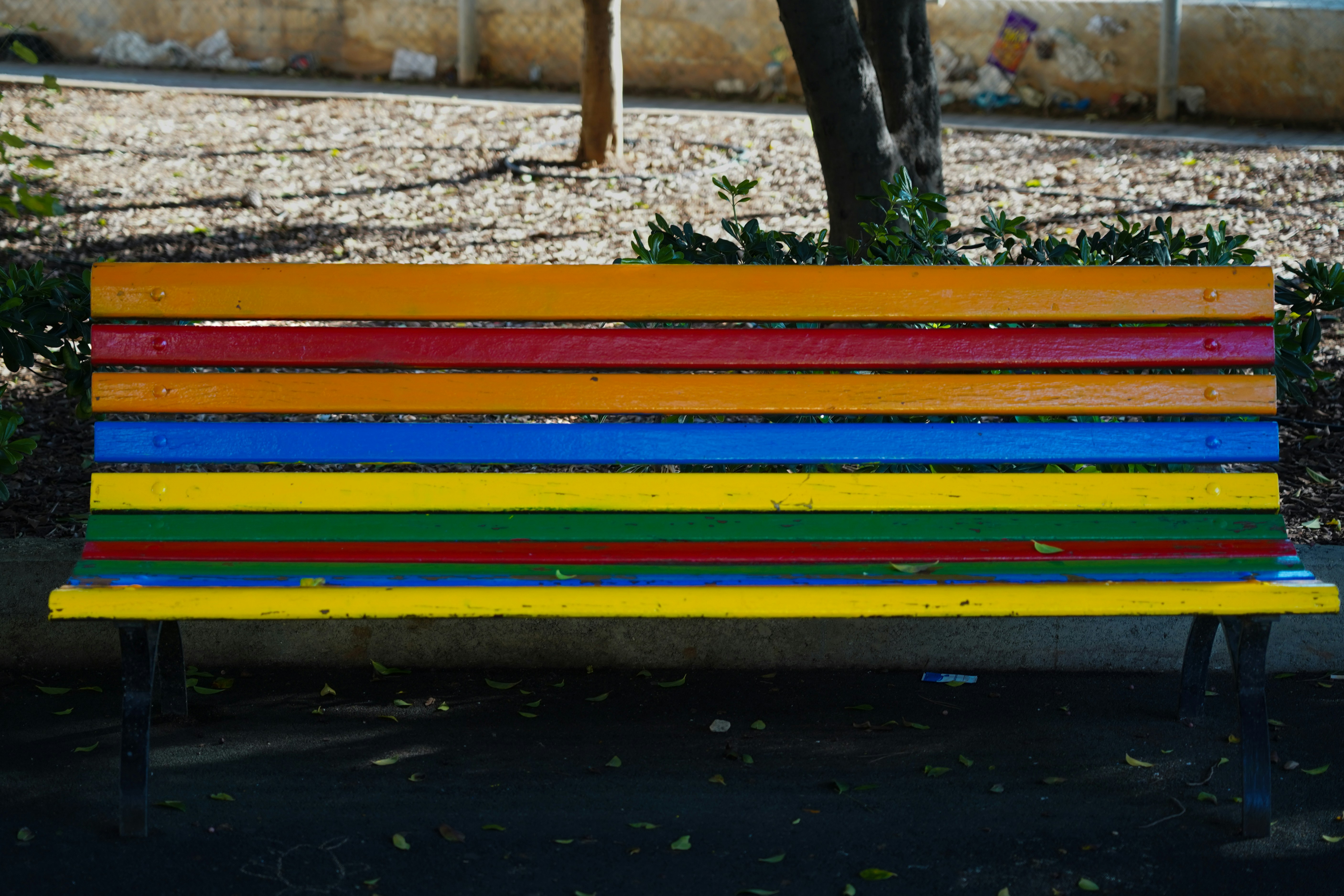 A rainbow colored bench in front of a tree photo – Free Bench Image on ...