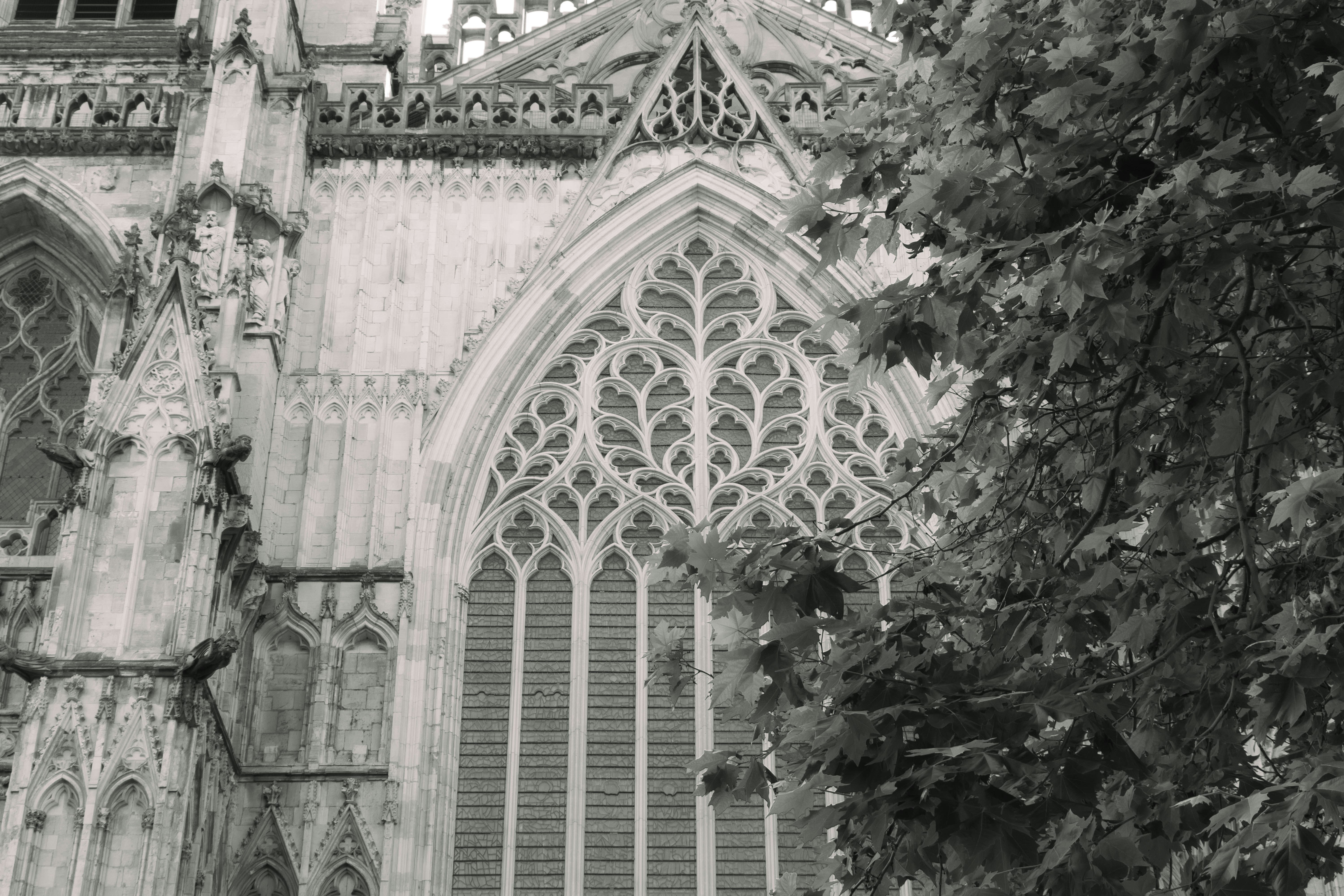 Facade of York Minster, with a shed of tree.