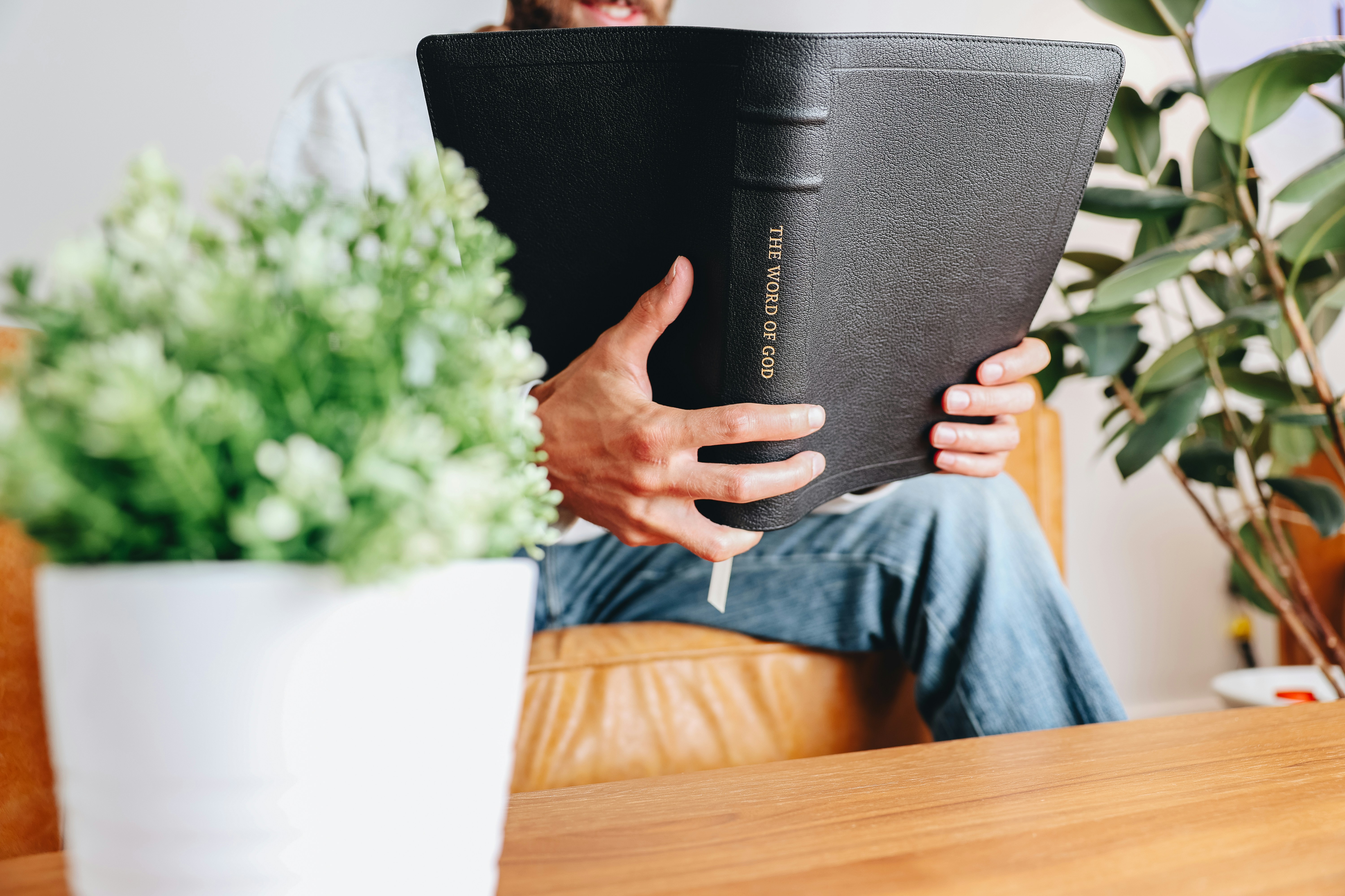 A man sitting on a couch reading a book photo – Free Bible in living ...