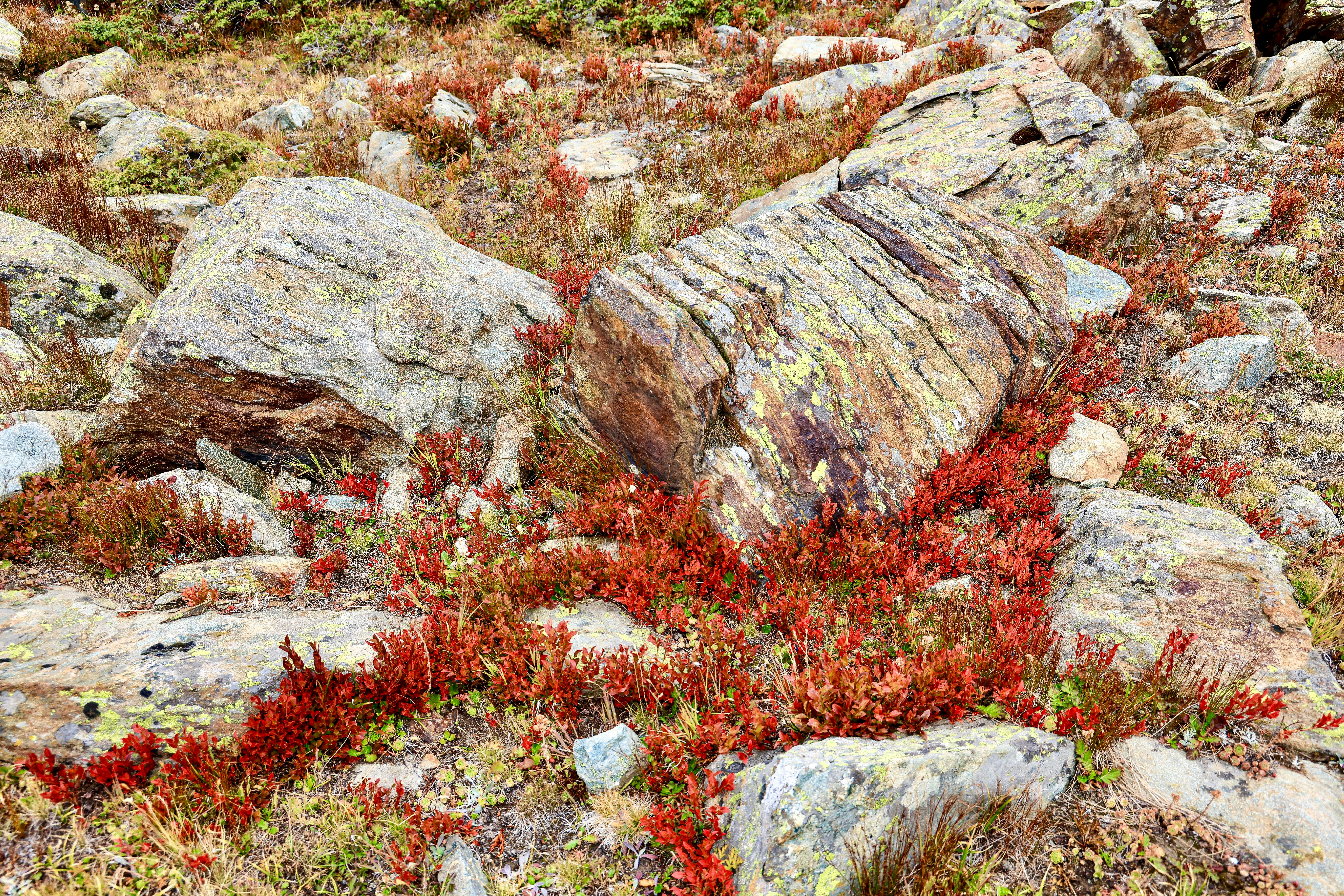 Photo by airbr3ak3r.zh with Canon EOS R5