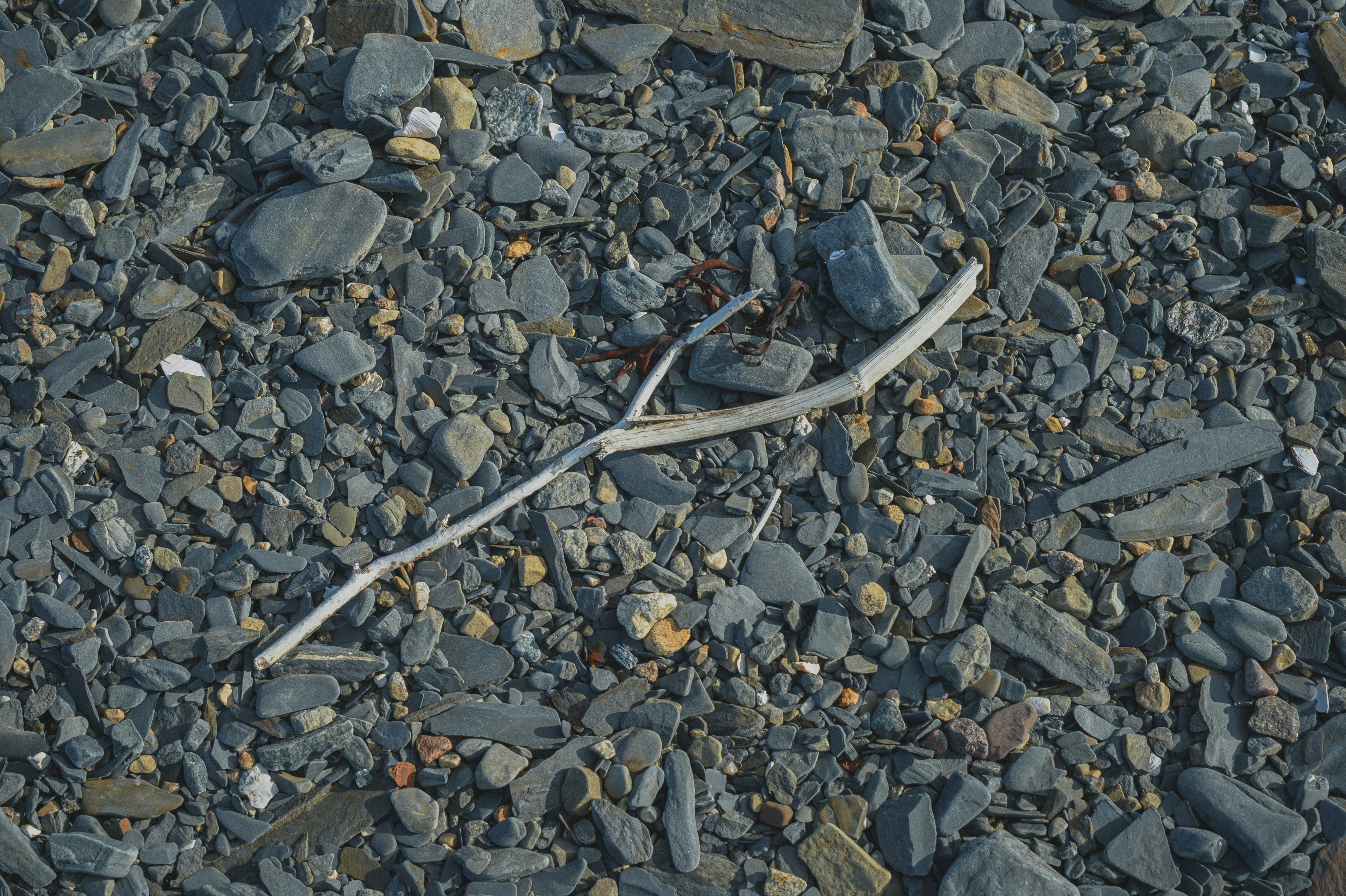 A broken toothbrush laying on a rocky ground photo – Free Мурманская ...