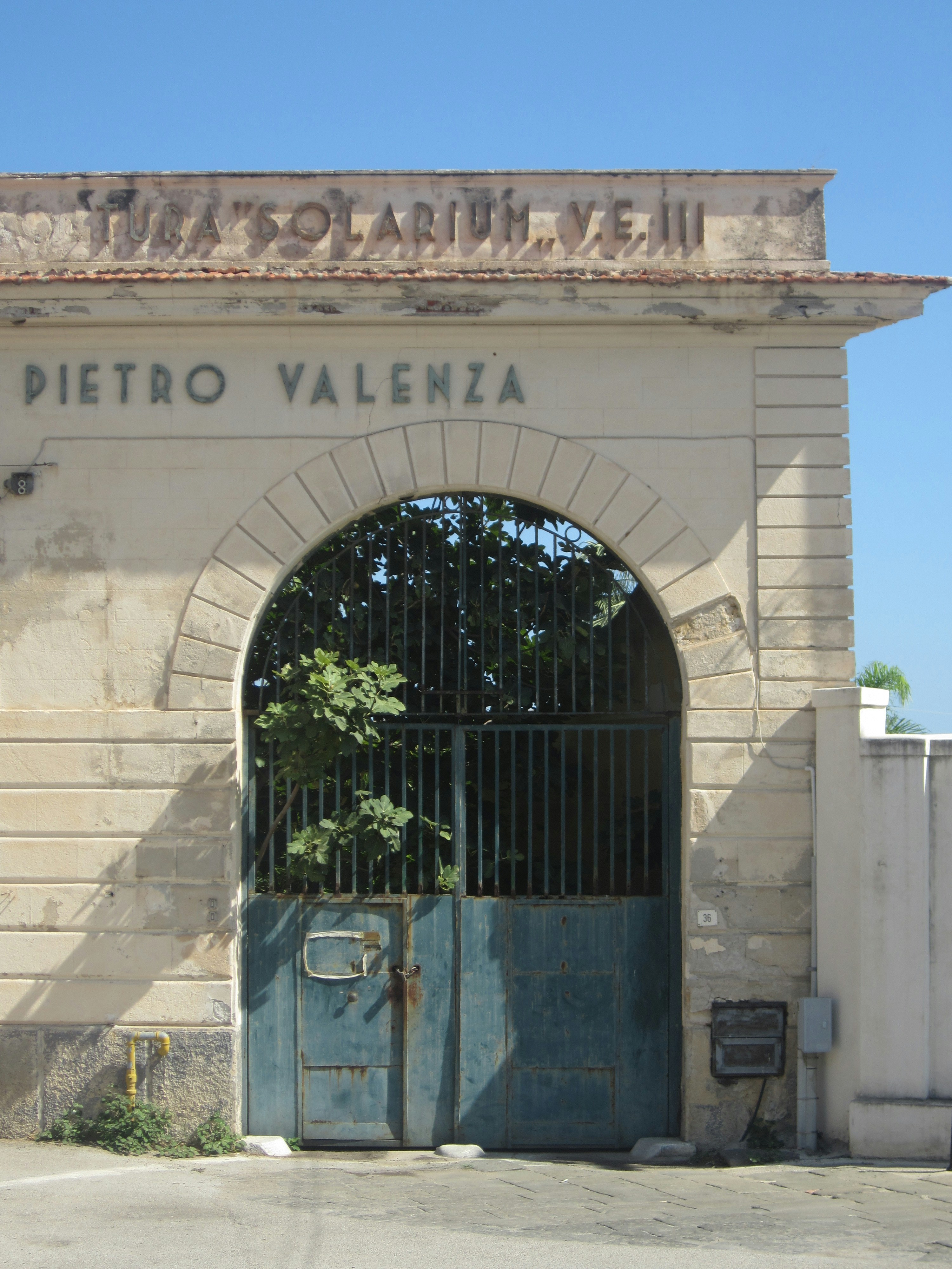A gated entrance to a building with a tree growing out of it photo ...