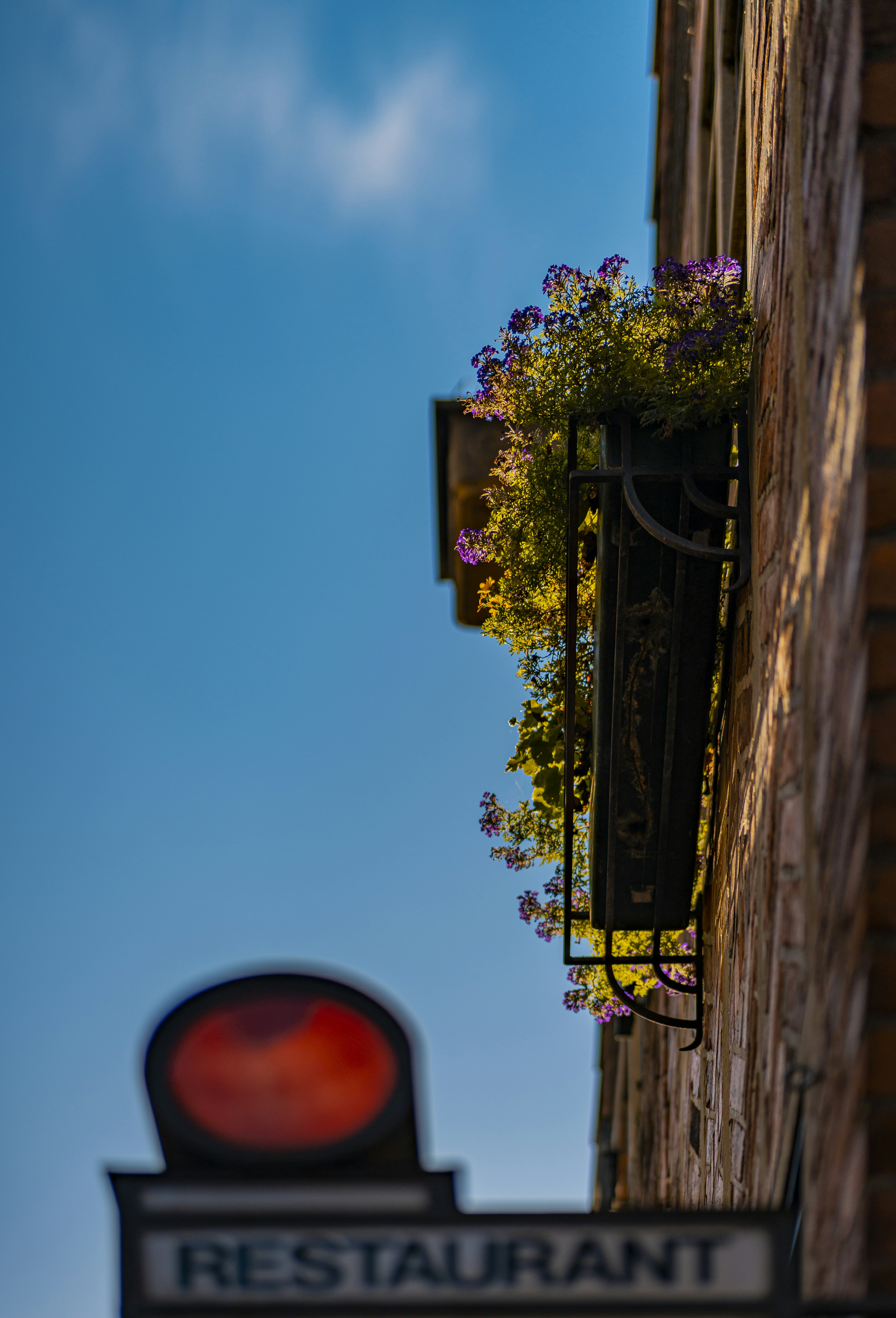 Brick Balcony Blooms Against Azure Sky