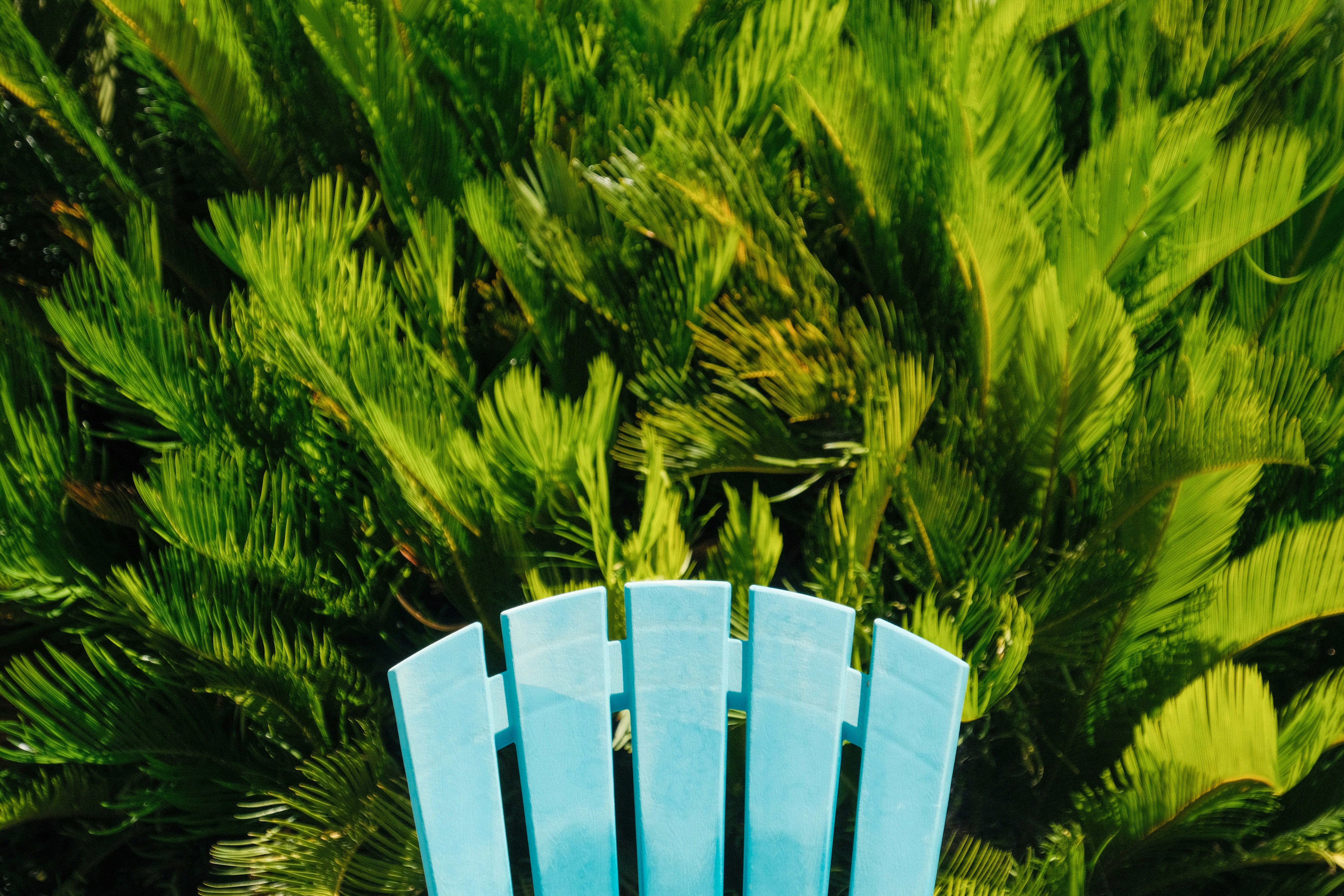 Photo by Robert Katzki with Fujifilm X-T30 II