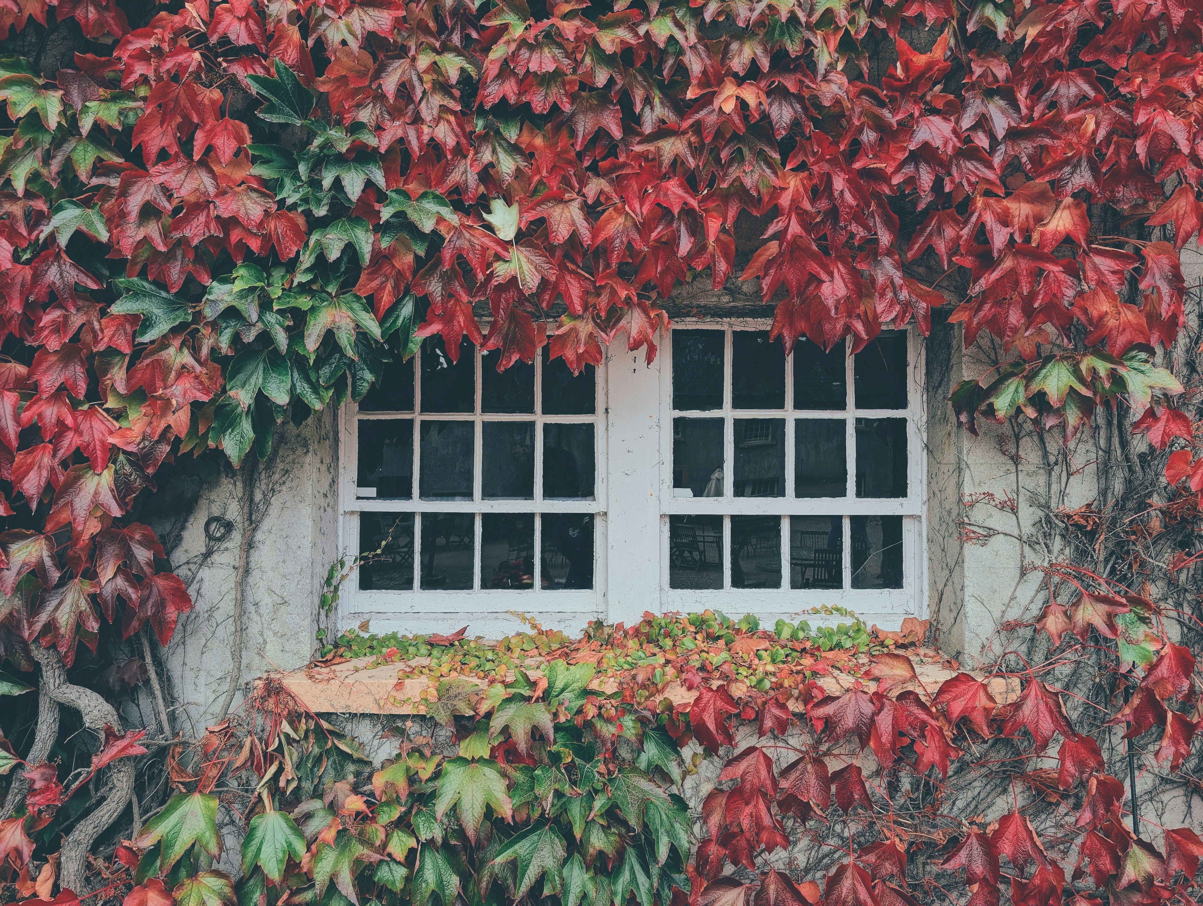 Photo by Nick Nice with Google Pixel 9 Pro