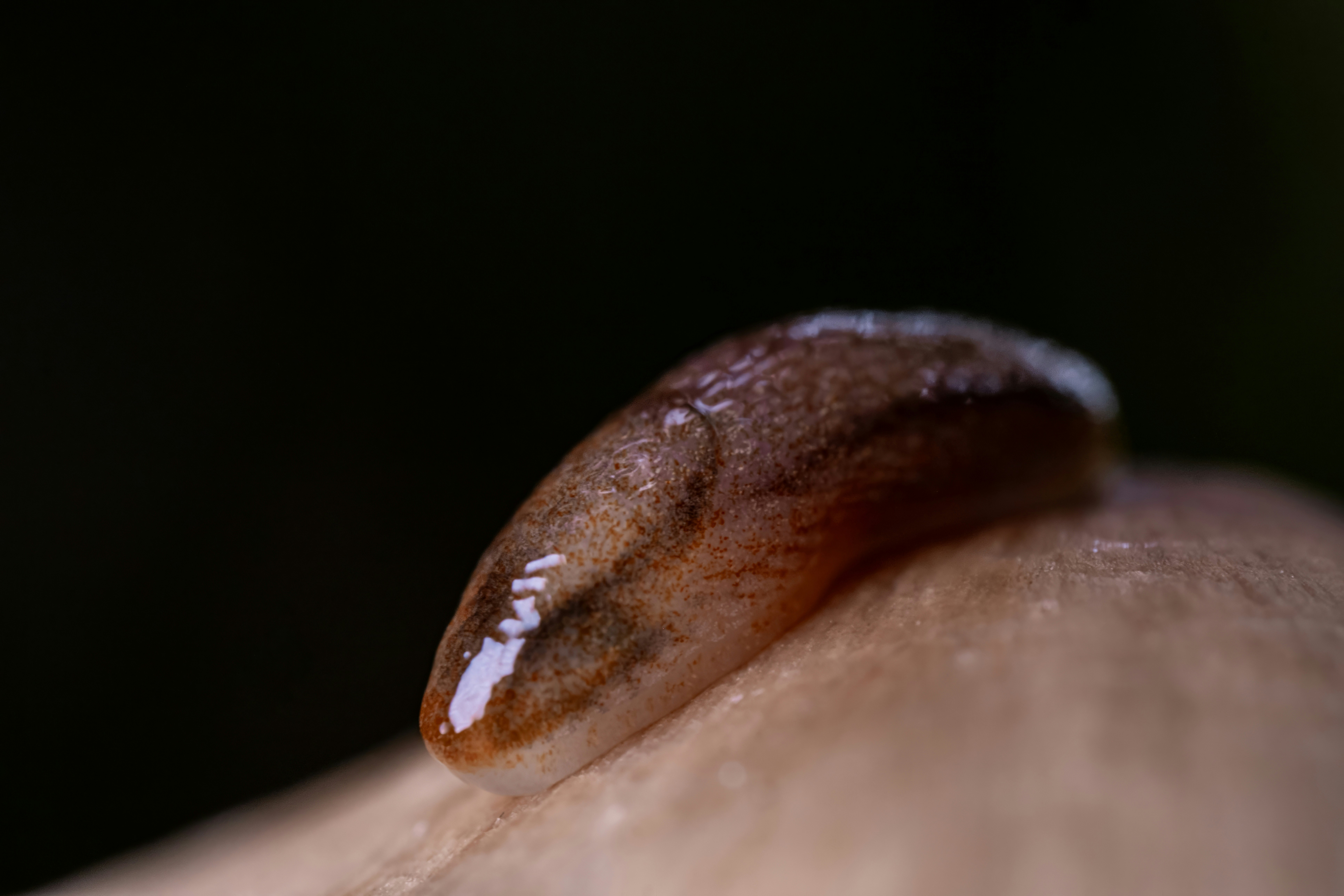 Photo by Alexandre Daoust with Fujifilm X-T5