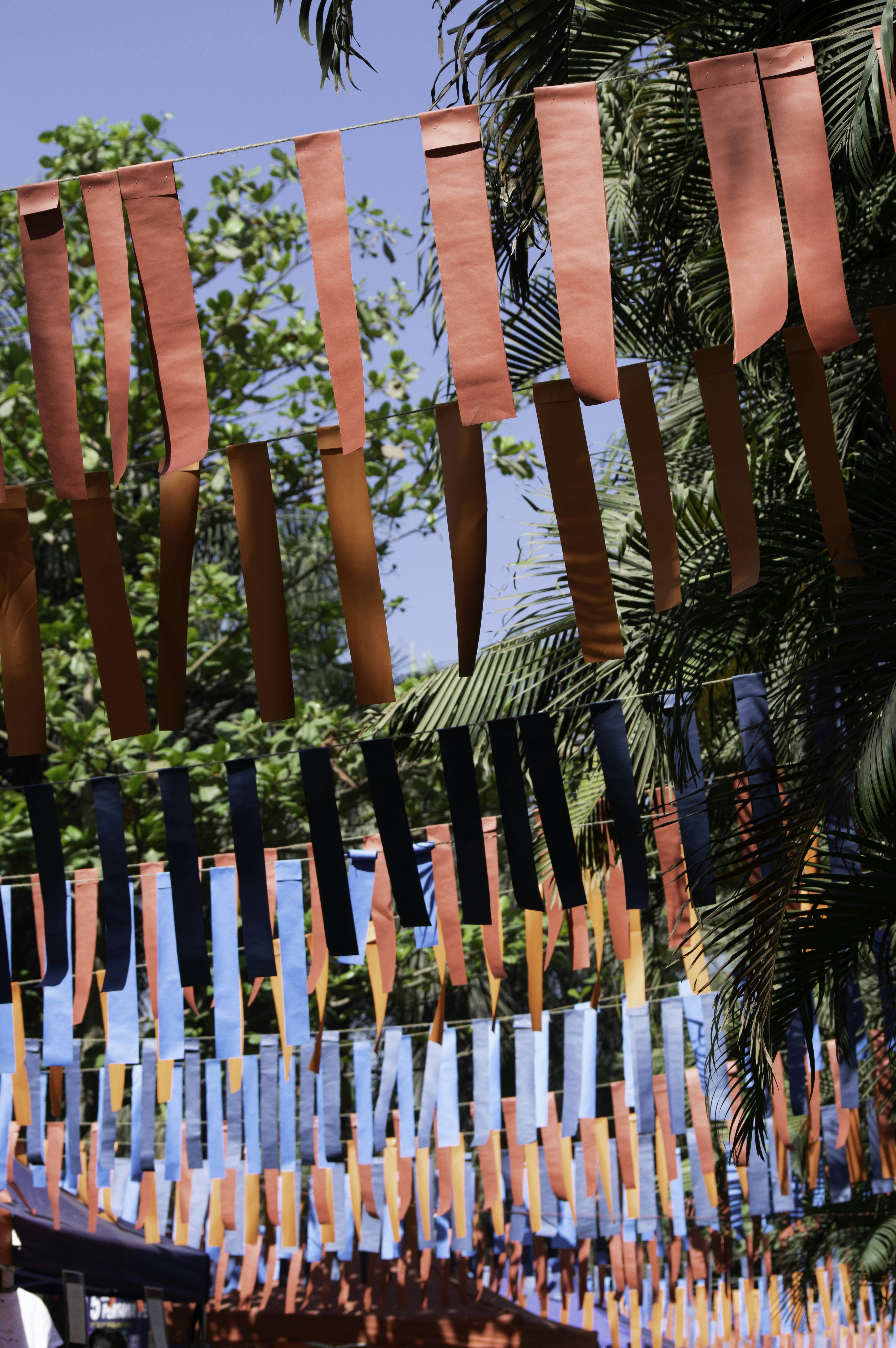 A bunch of colorful streamers hanging from a tree photo – Free Event ...