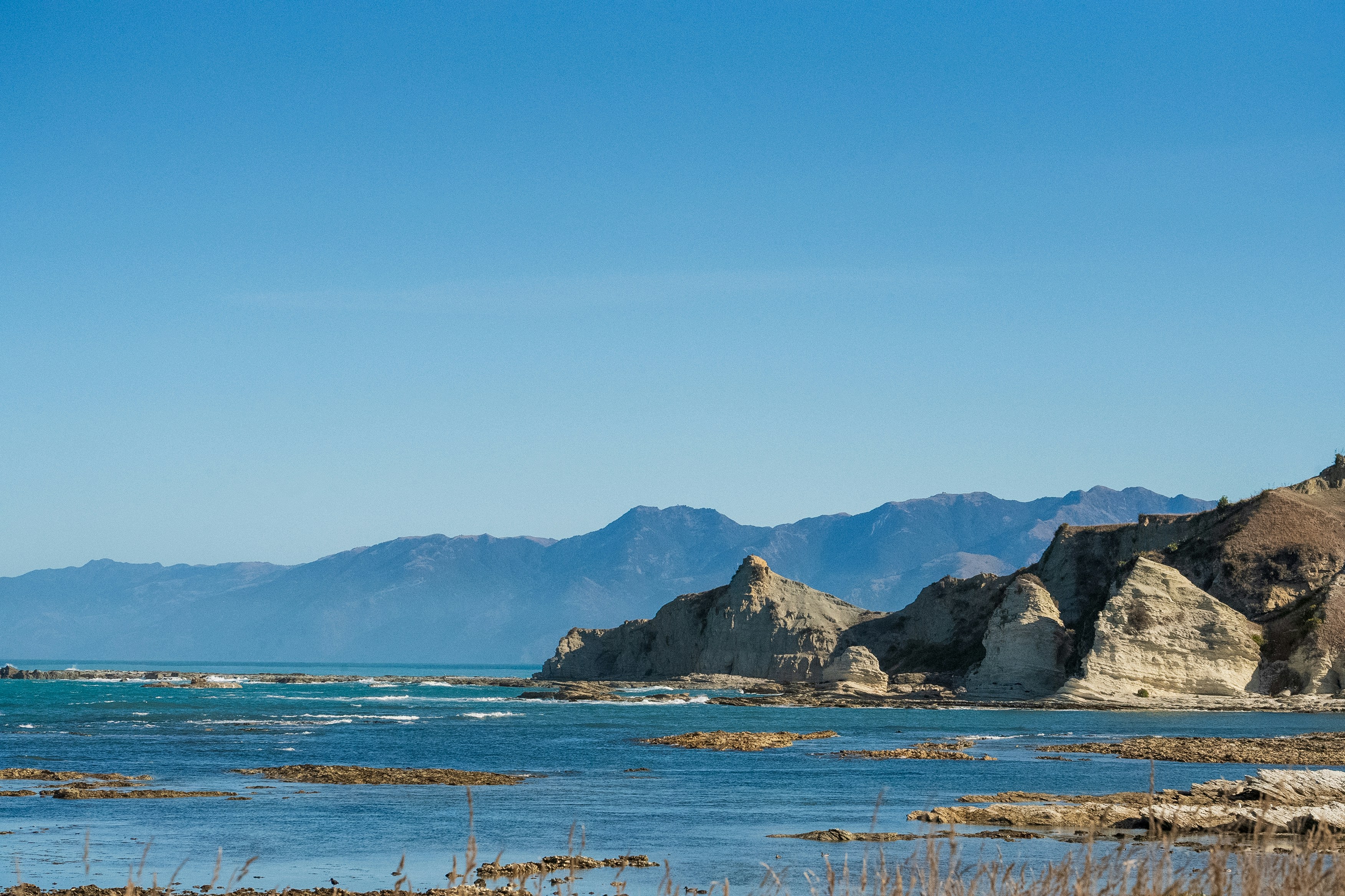 Photo by JinHui CHEN with Sony Alpha 7 IV