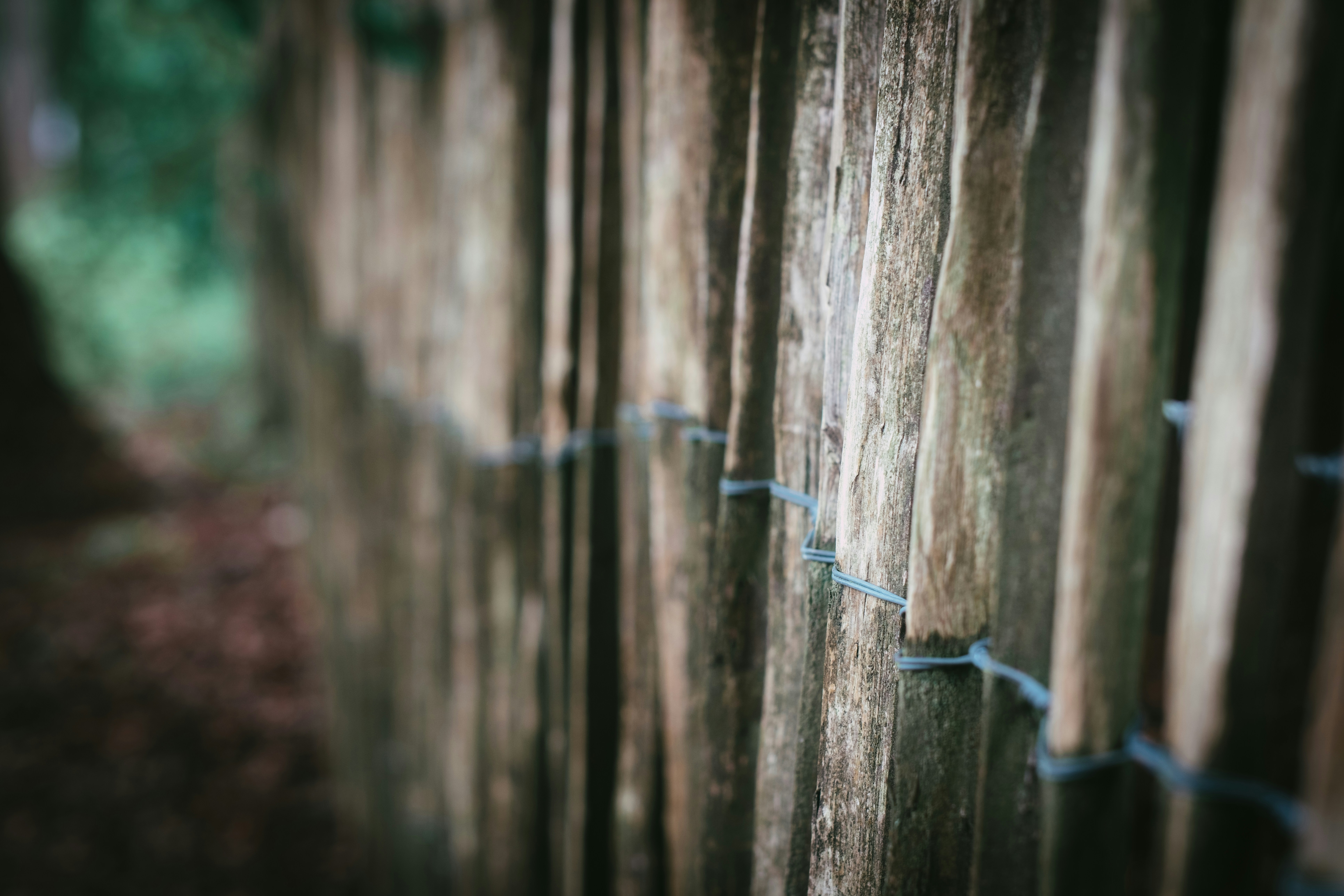 Fence Gate Pictures | Download Free Images on Unsplash