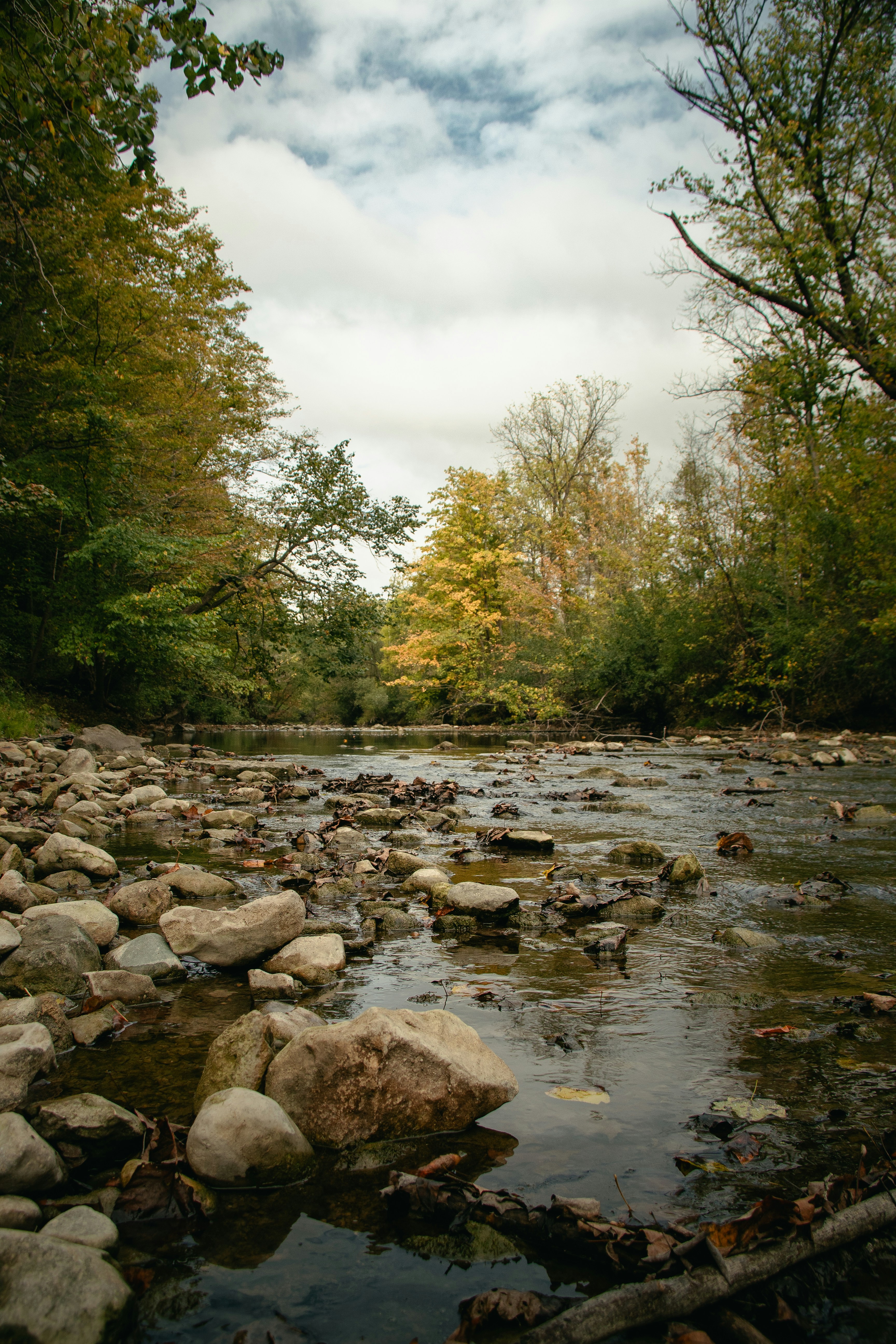 Stone-Rimmed Riverbank in Autumn Light