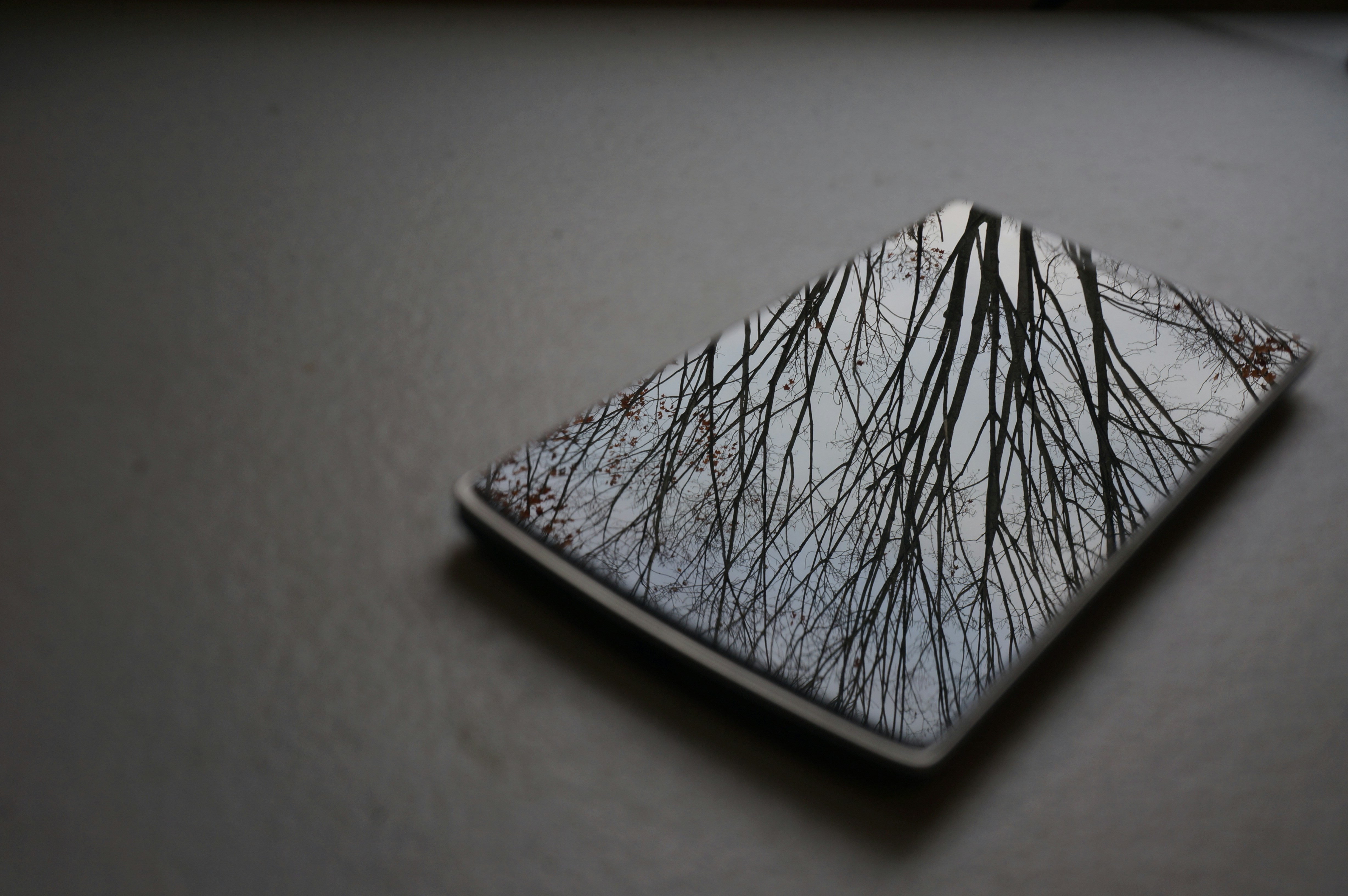 Tangled Branch Reflections on a Pocket Screen