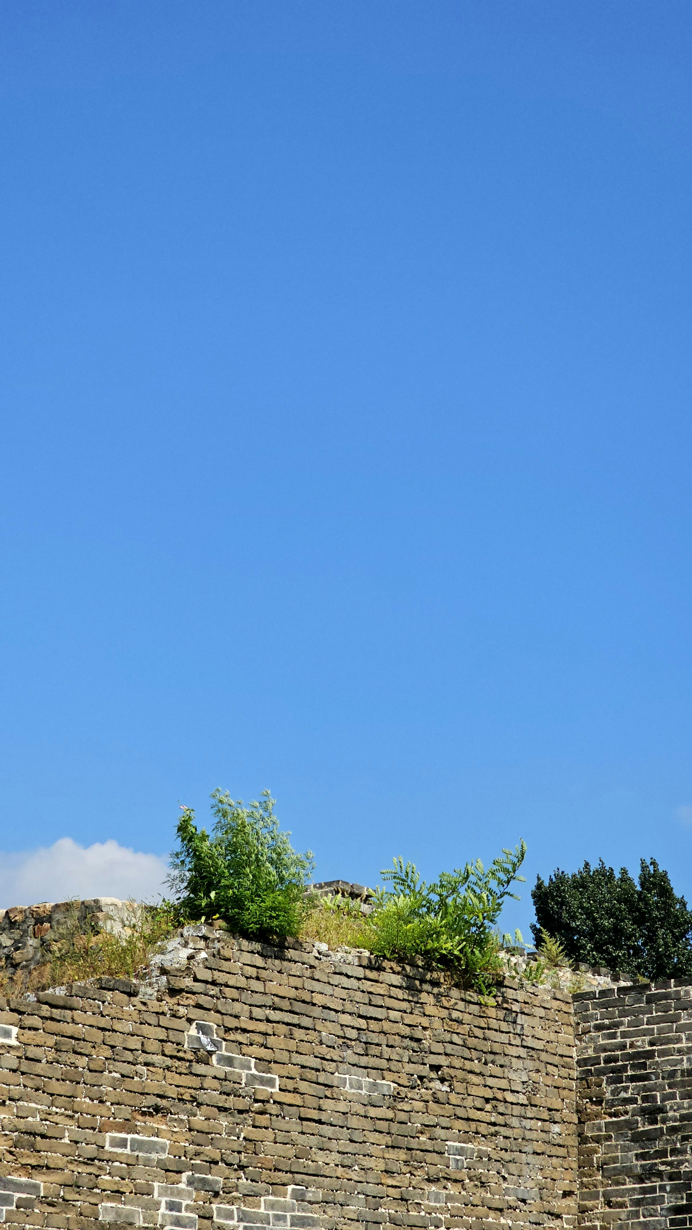 Photo by Hu lei with Samsung Galaxy S23 Ultra