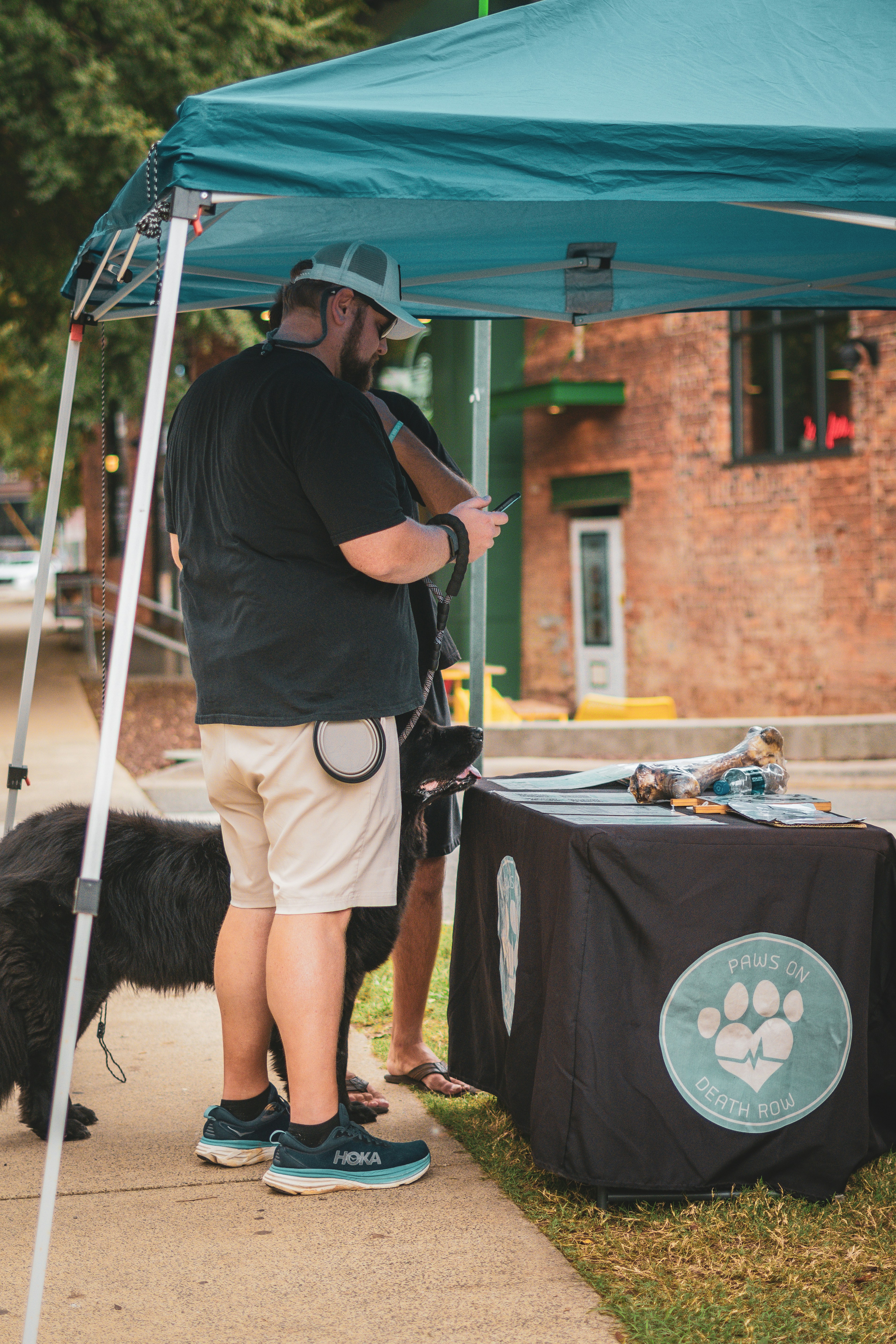 Teal Canopy Moment: Volunteers at the Shelter Booth with Paw Logo