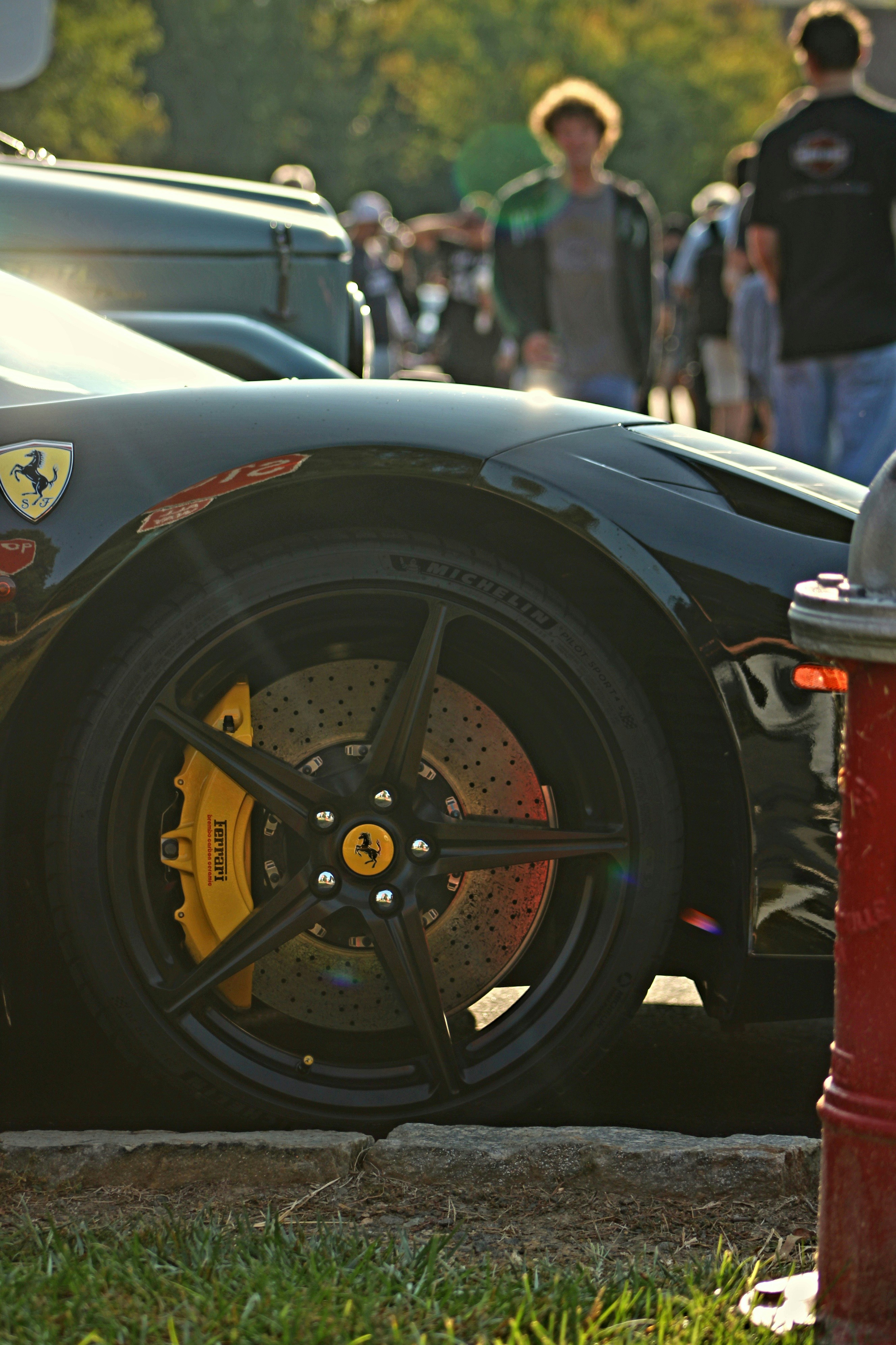 Elegance in Motion: The Essence of Performance
