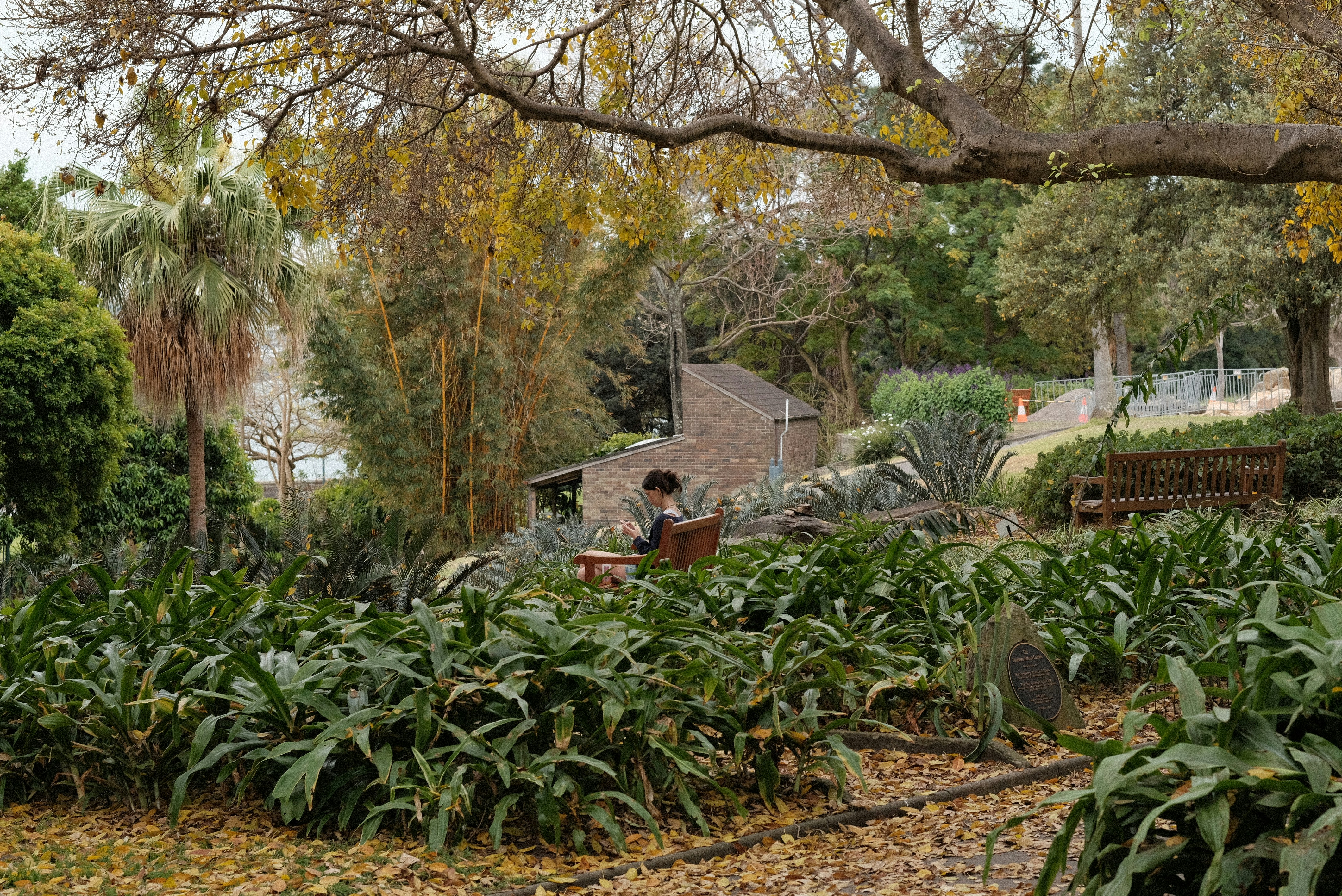 Autumn Lullaby in the Garden: A lone figure resting on a bench among lush groundcover
