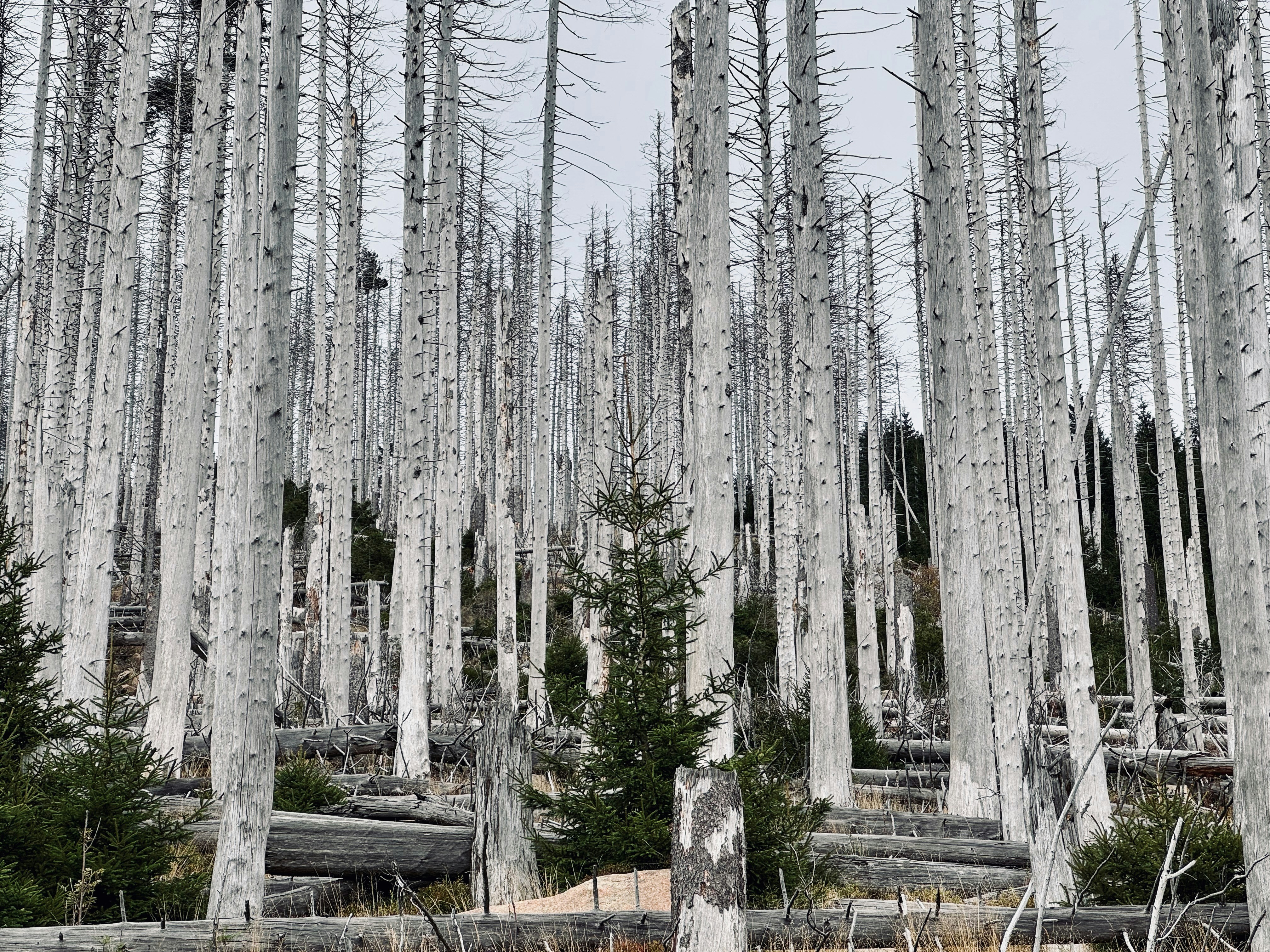 Tim Heinig (@timheinig) | Unsplash Photo Community