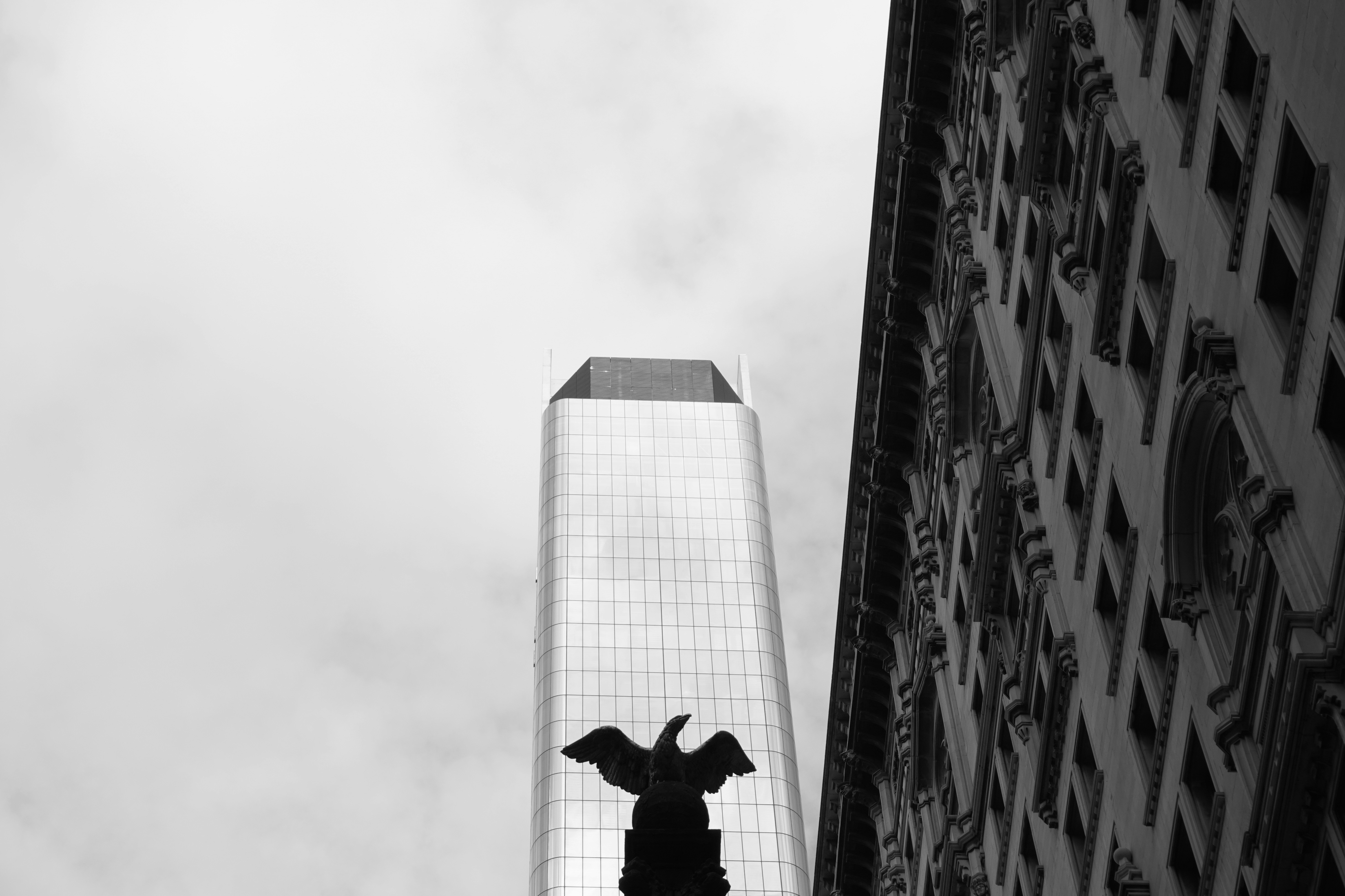 Photo by Bertrand Colombo with SONY ZV-E10