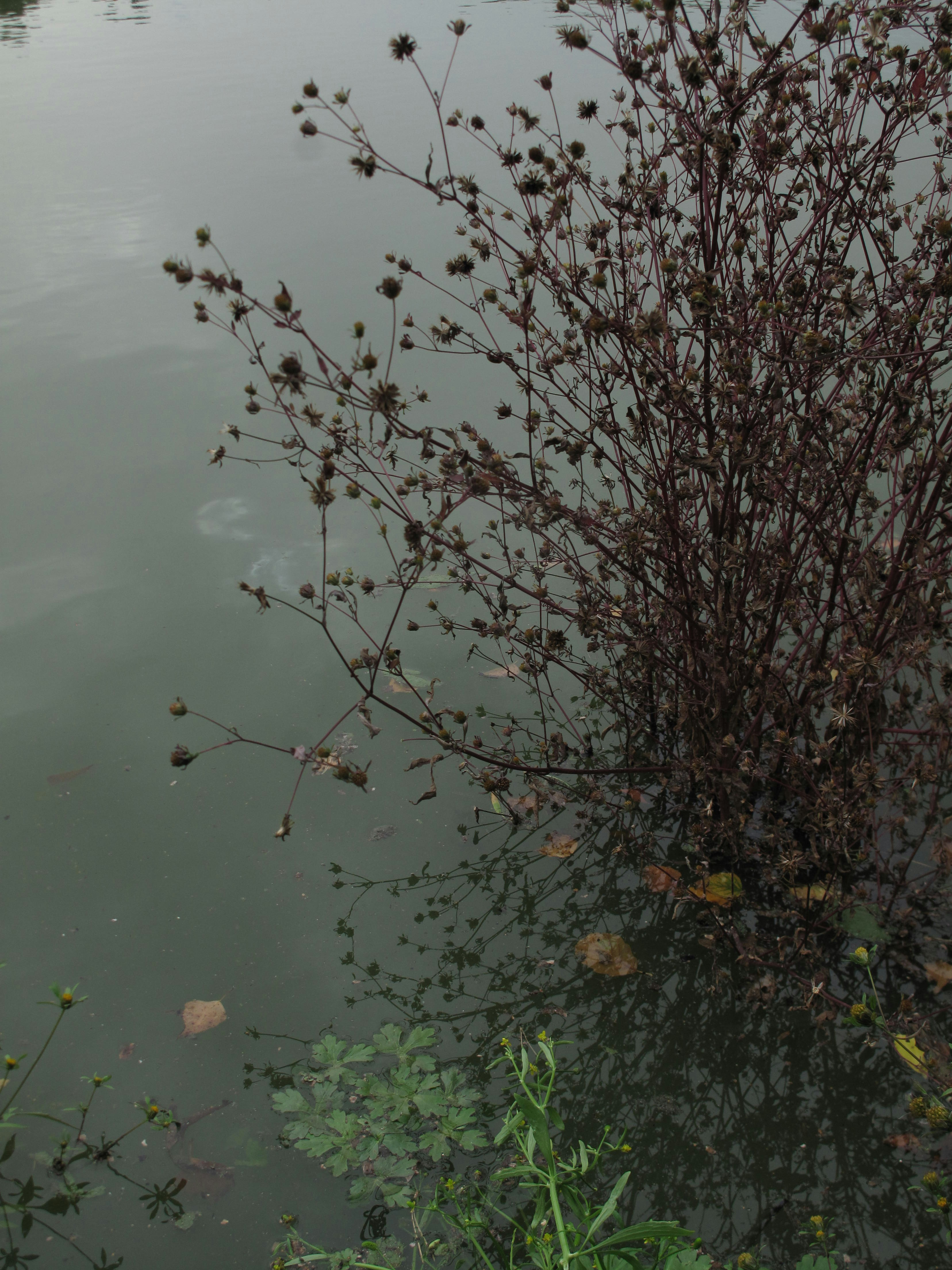 Photo by liza b with Canon PowerShot G10