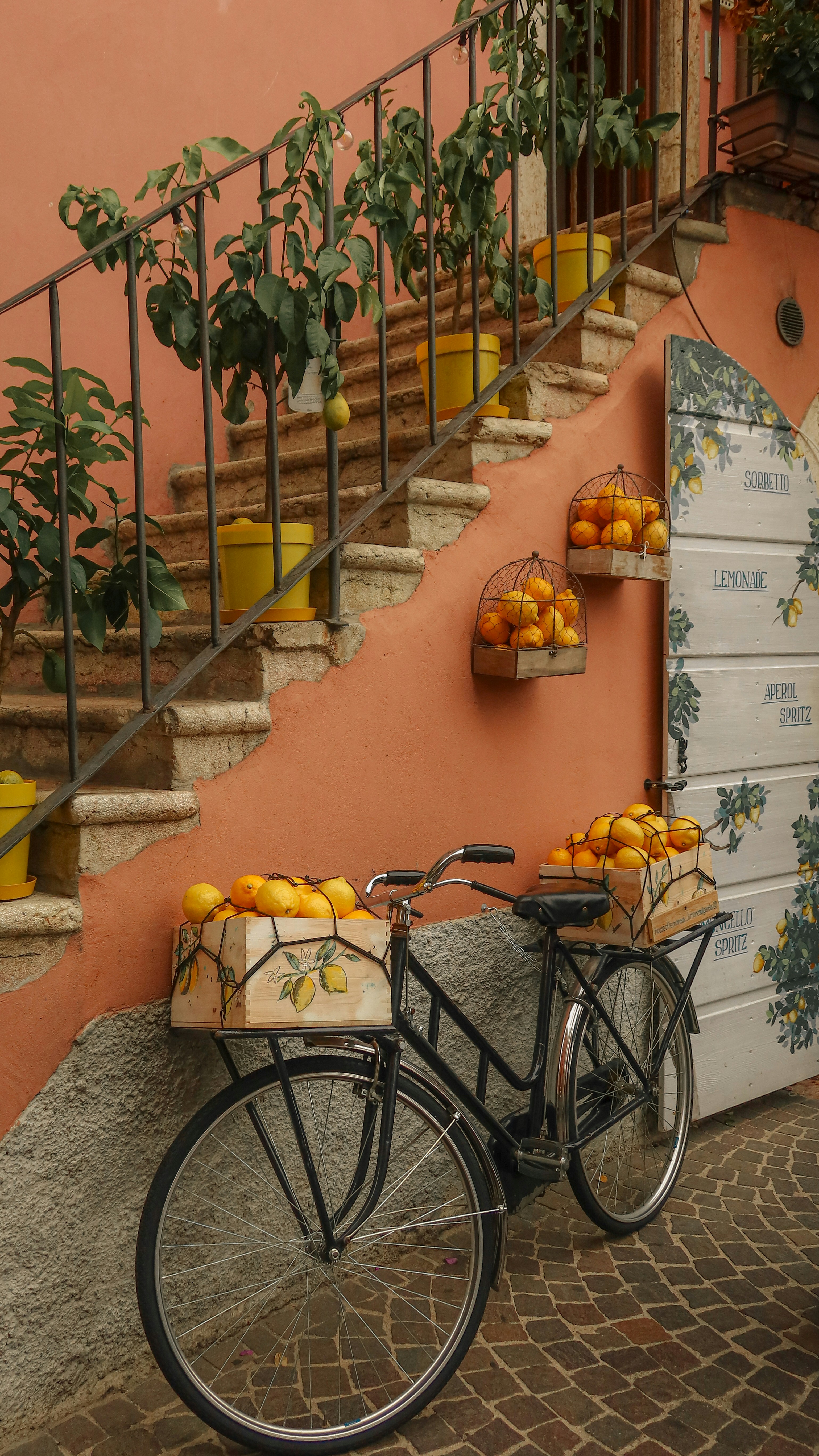 Bicycle with wooden crates of oranges rests against a sun-warmed orange wall, with a stair-stepped display of fruit baskets and potted plants behind.