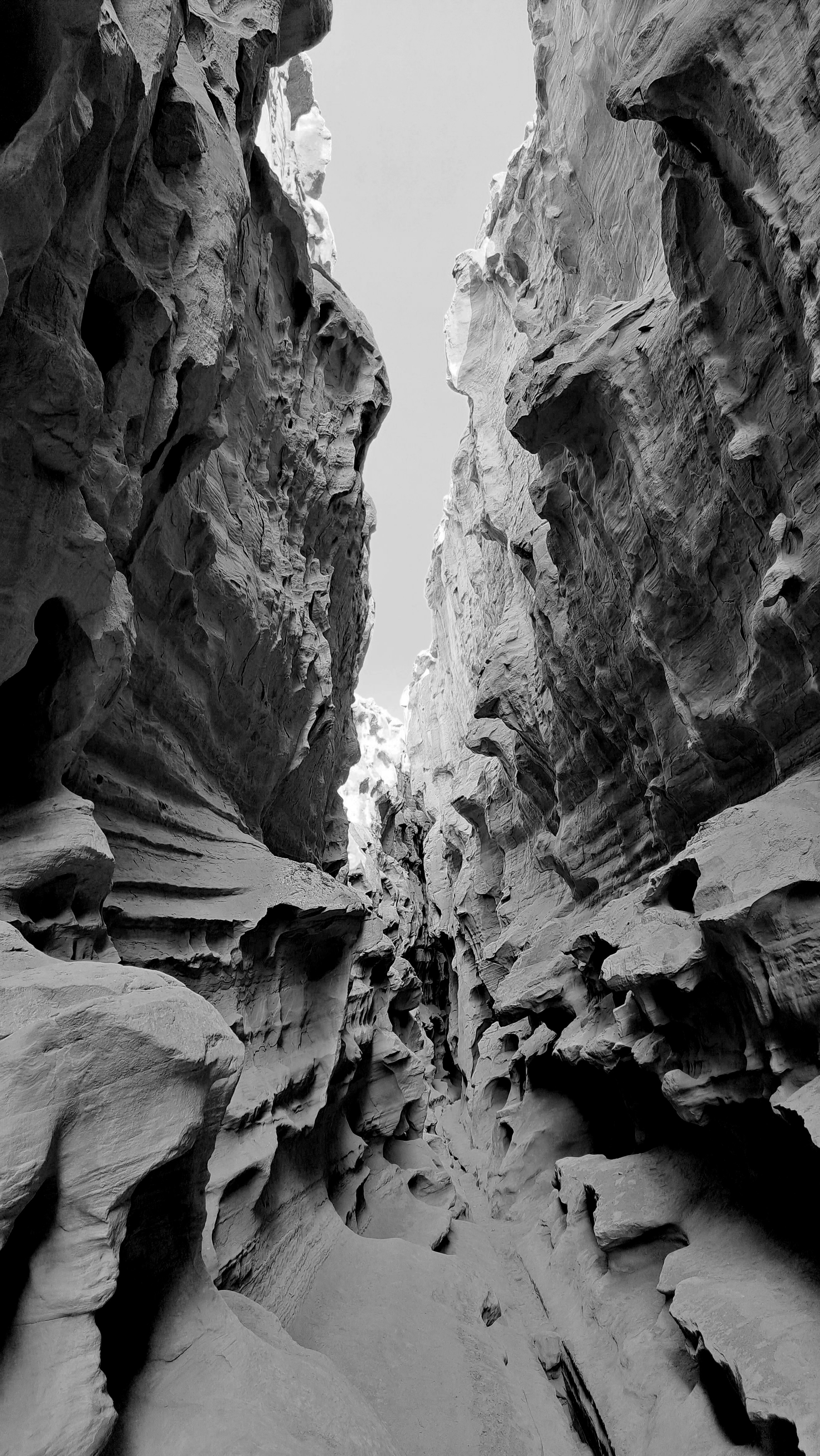 Photo by Mahdi Kordi with Samsung Galaxy A53