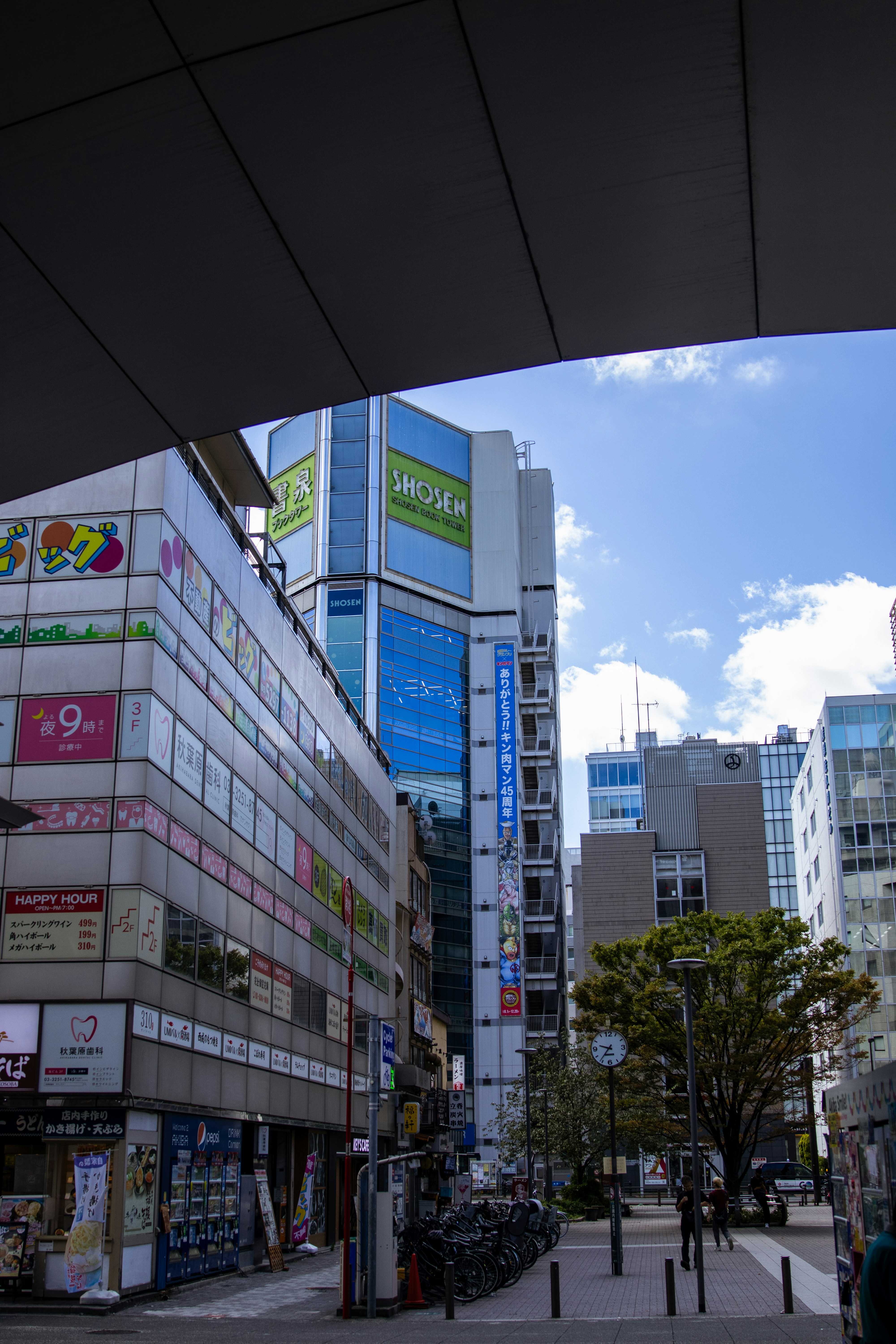 City Canyon: Neon Facades and a Narrow Path Through Shibuya’s Gilded Canopy