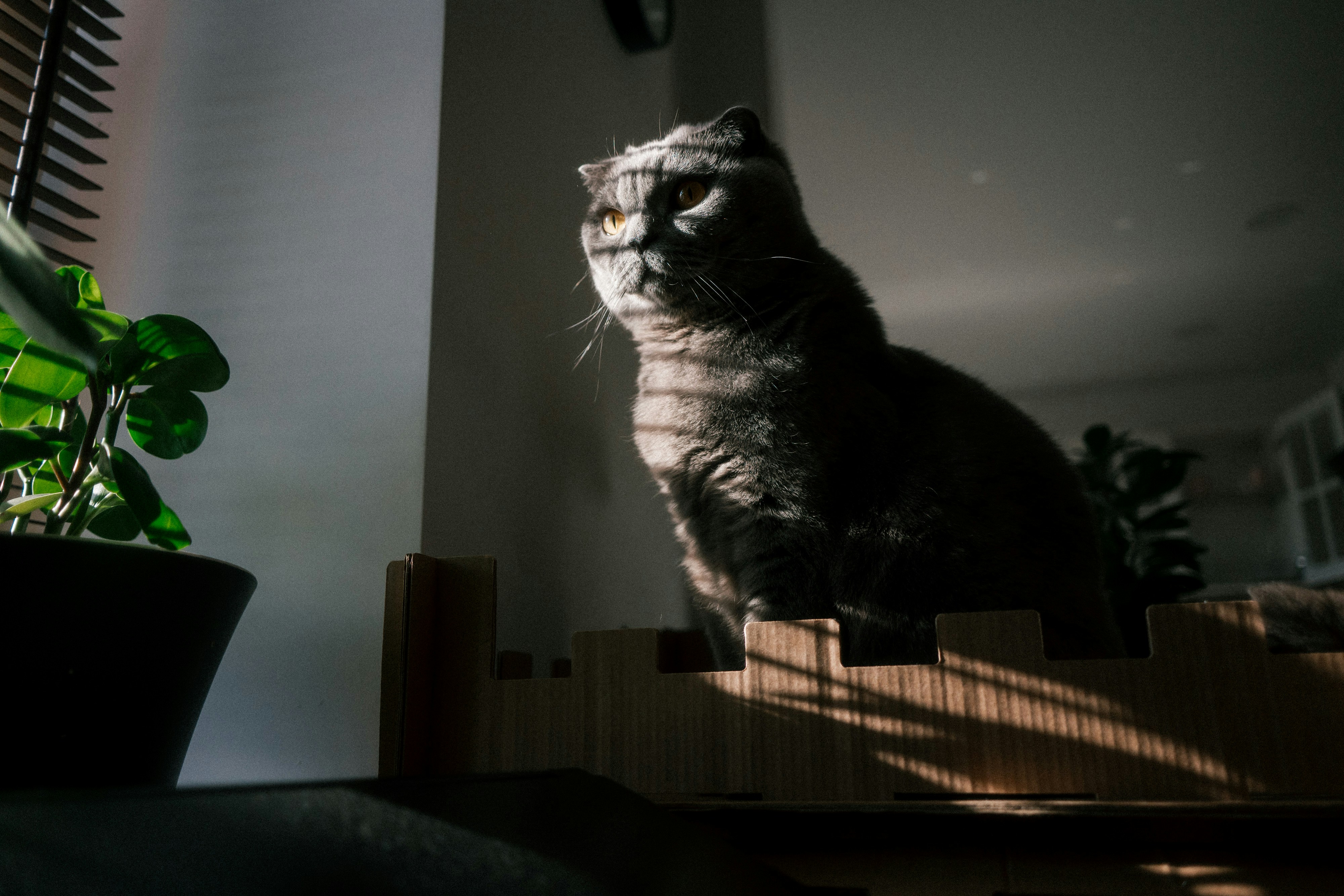 Photo by Alexy L with Nikon Zf