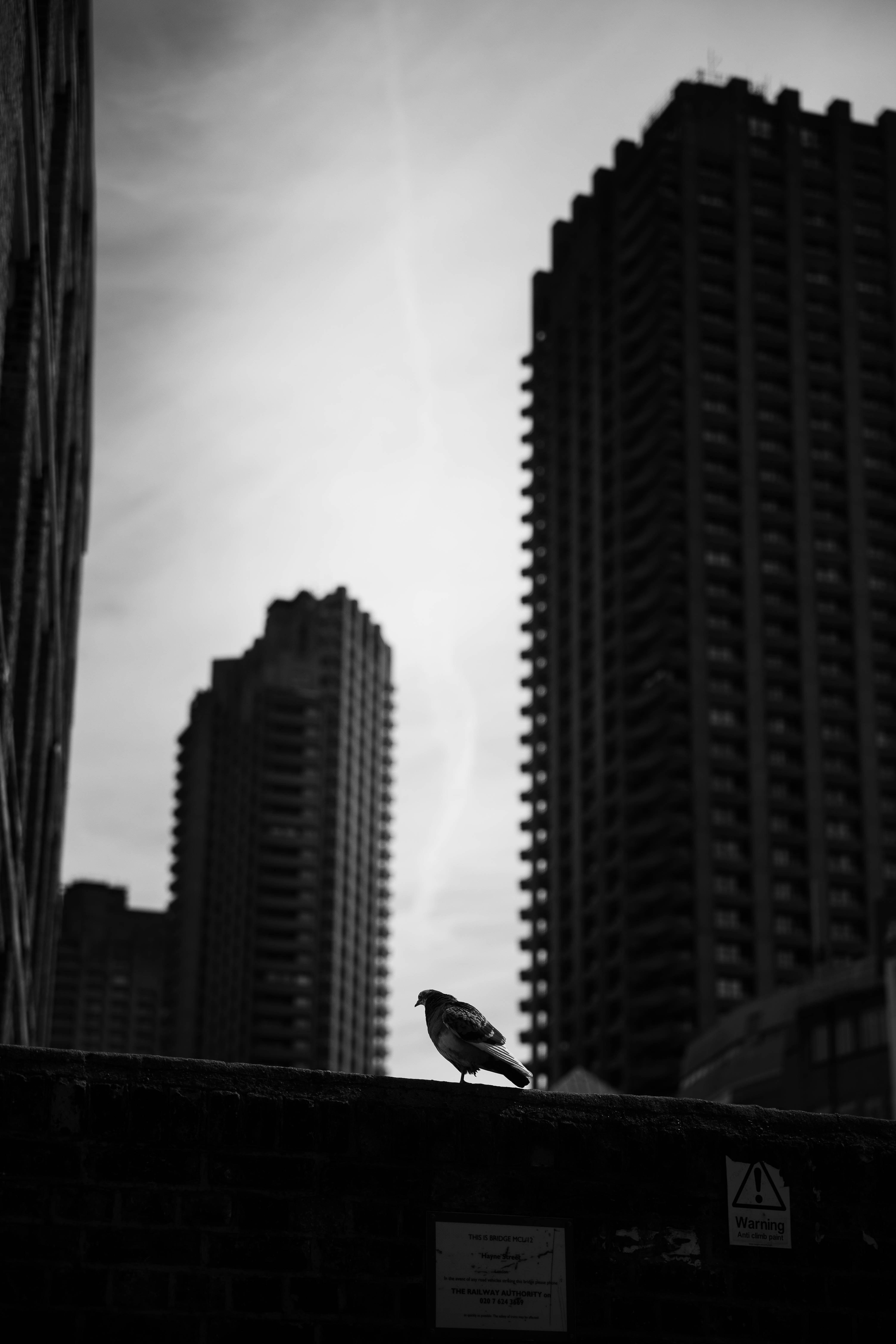 Photo by Gian Trachsel with Canon EOS 6D Mark II