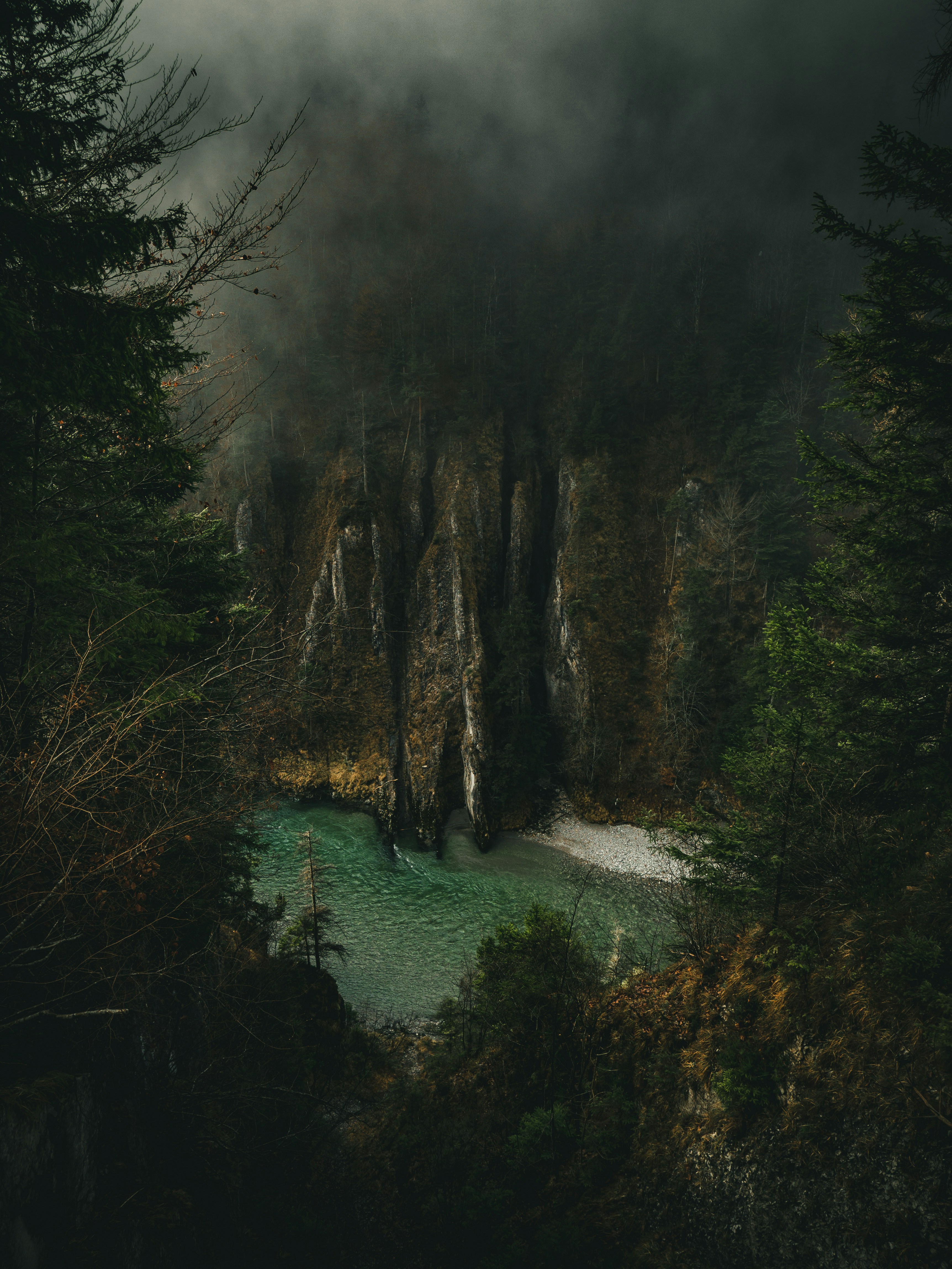 Moody forest gorge with a slender waterfall feeding a turquoise pool, framed by dark pines and mist.