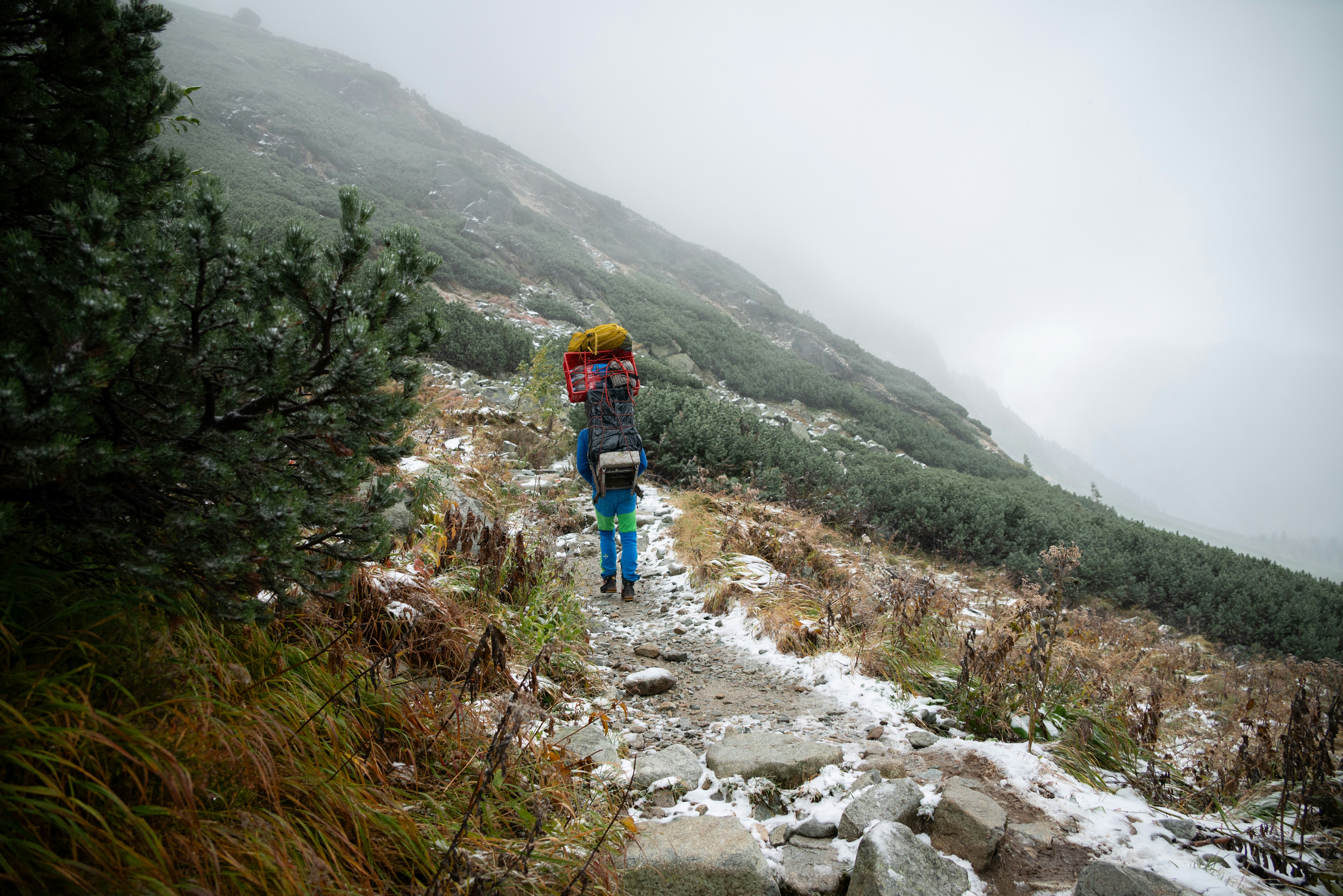 Trail to the Clouds: A Backpacker Presses On Through Misty Ridge