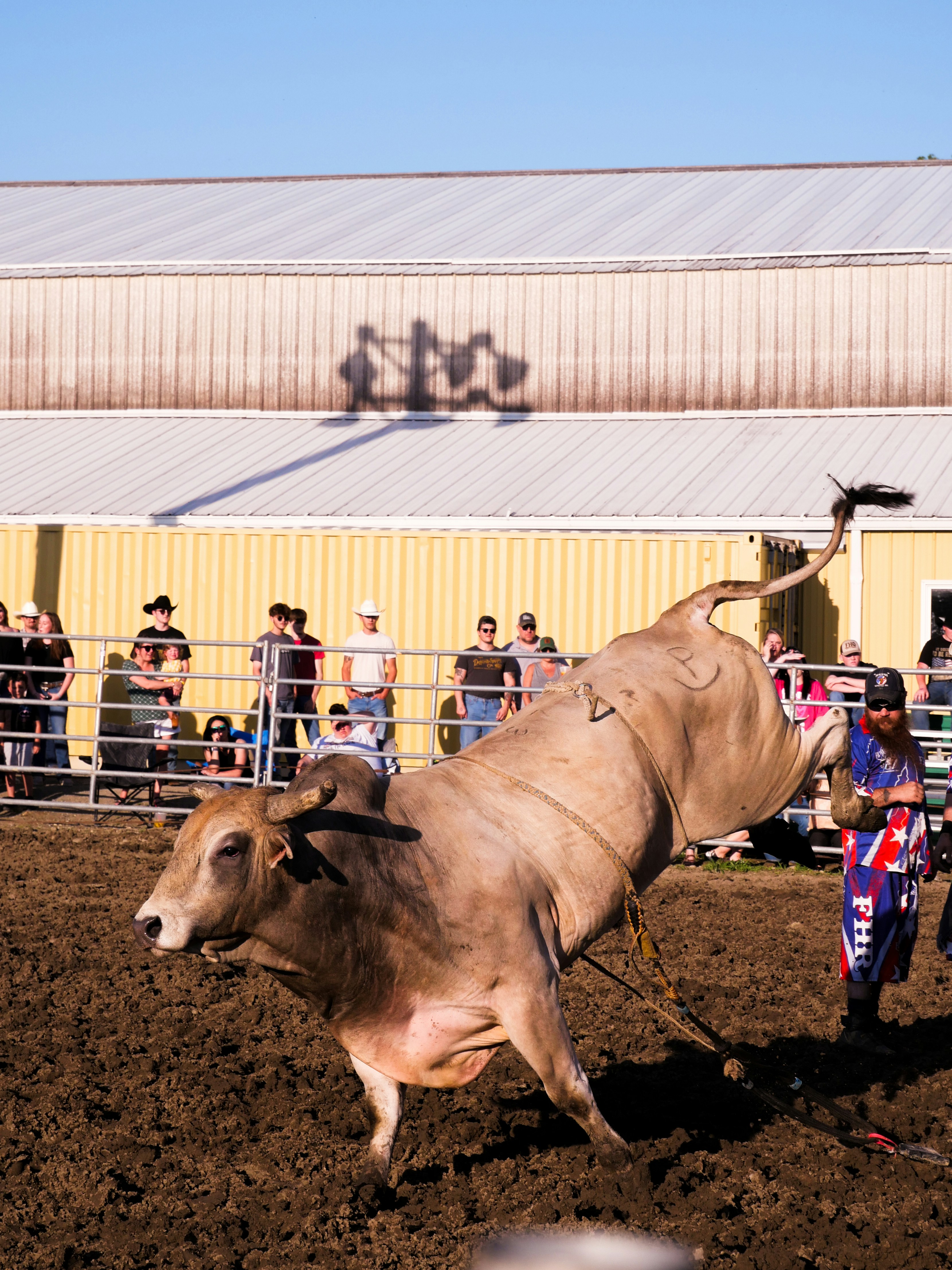 A man is trying to lasso a cow in a rodeo photo – Free Fox hollow rodeo ...