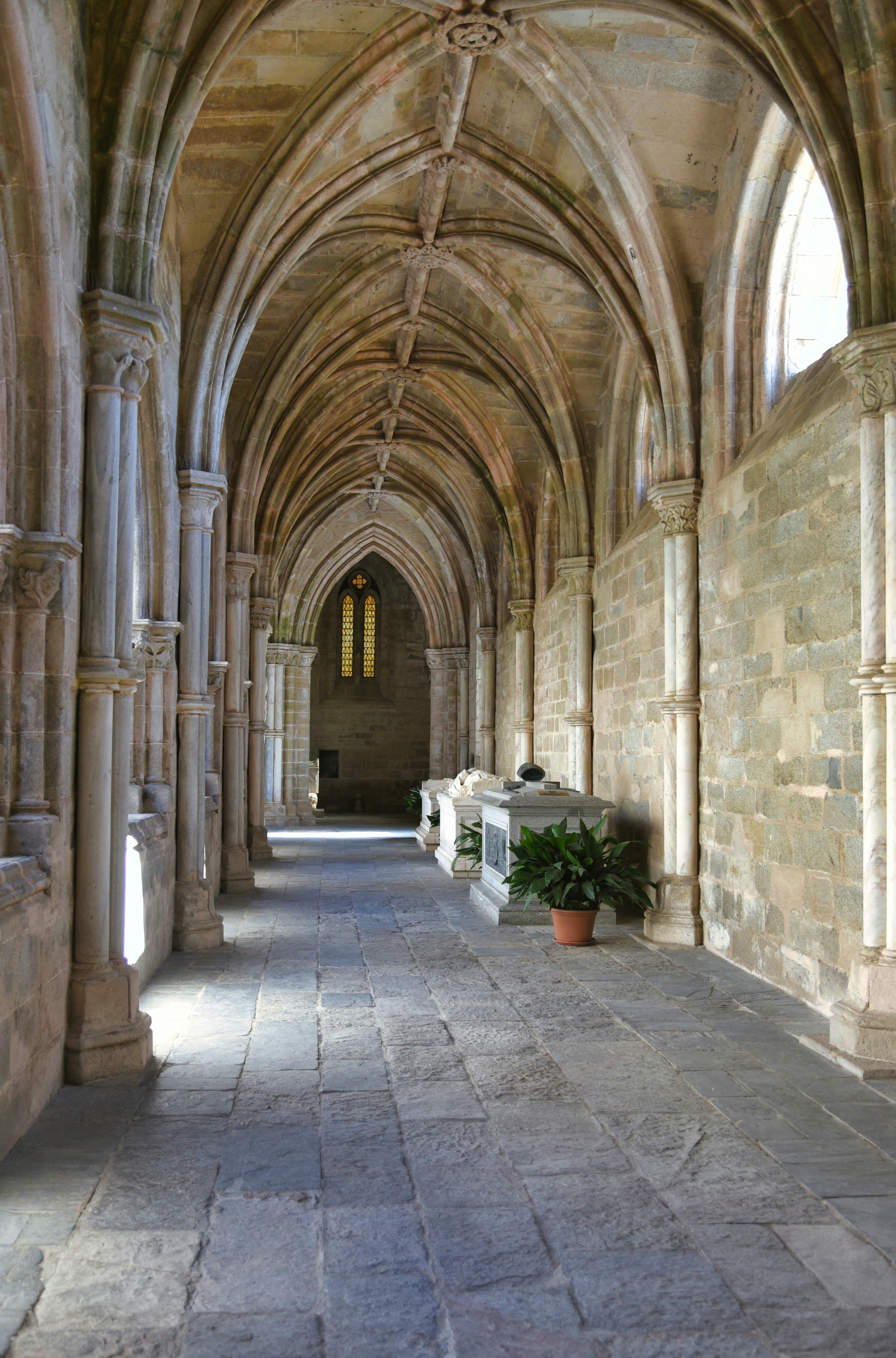 Photo by Gunnar Ridderström with Nikon D750