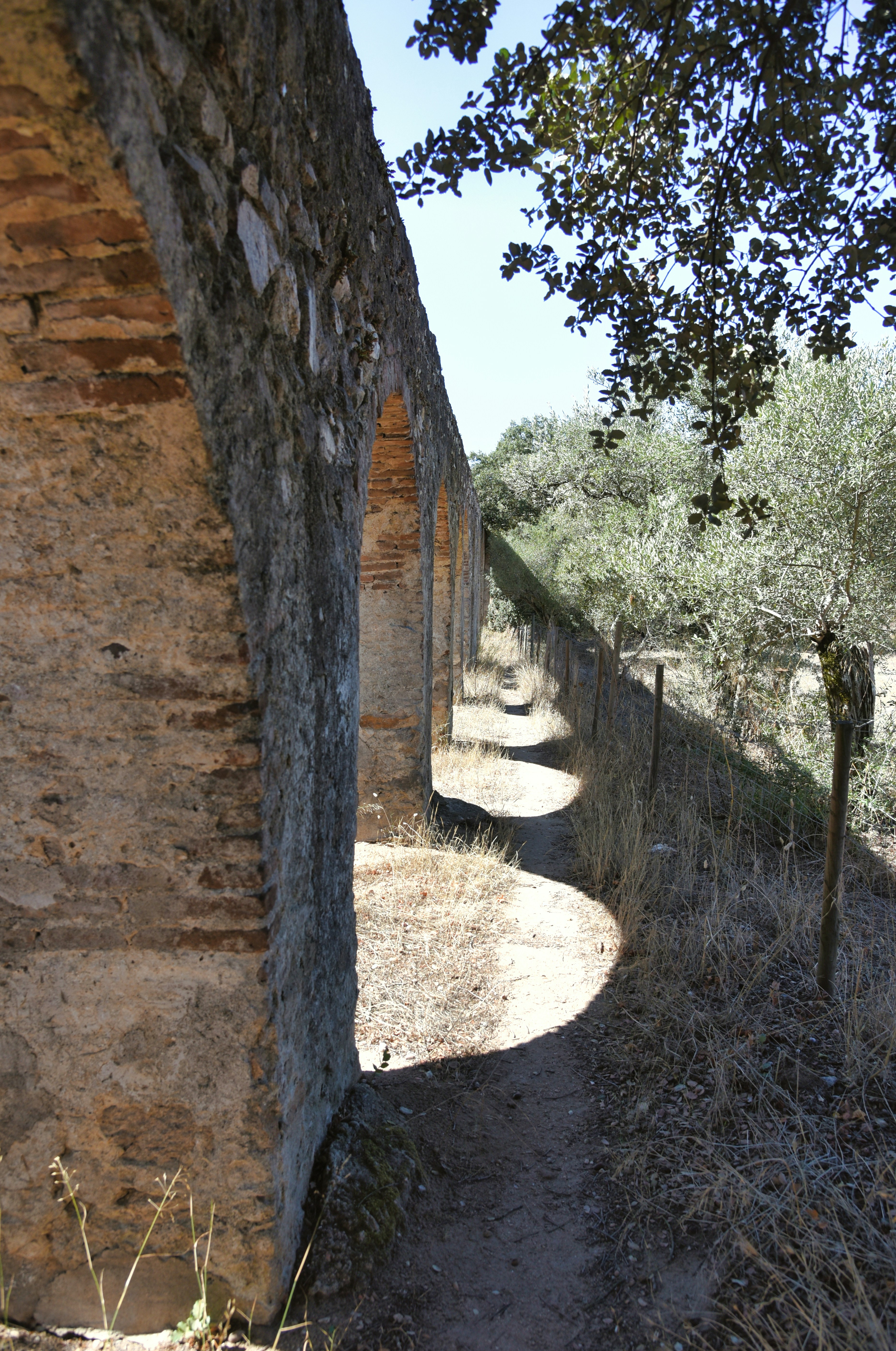 Photo by Gunnar Ridderström with Nikon D750