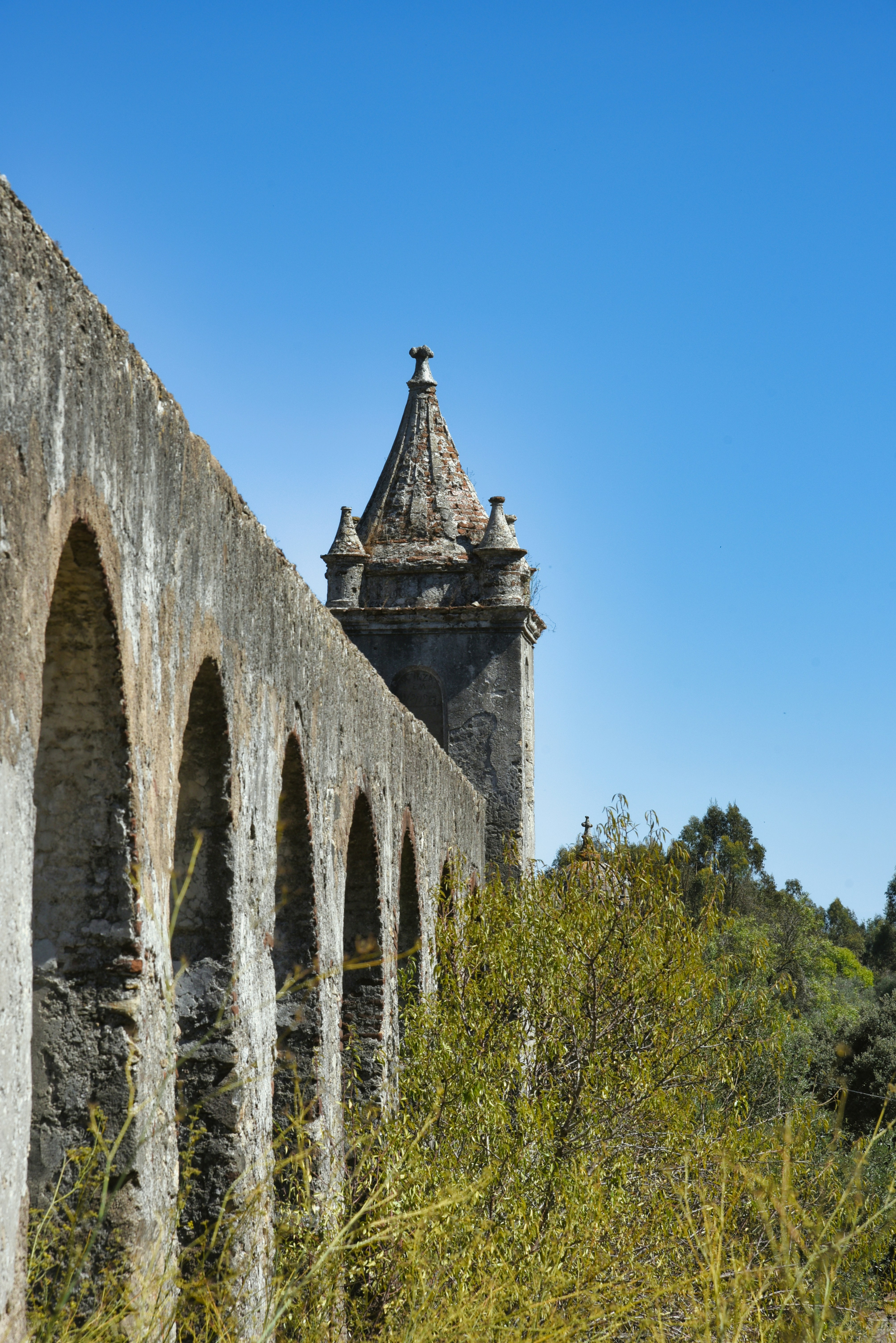 Photo by Gunnar Ridderström with Nikon D750