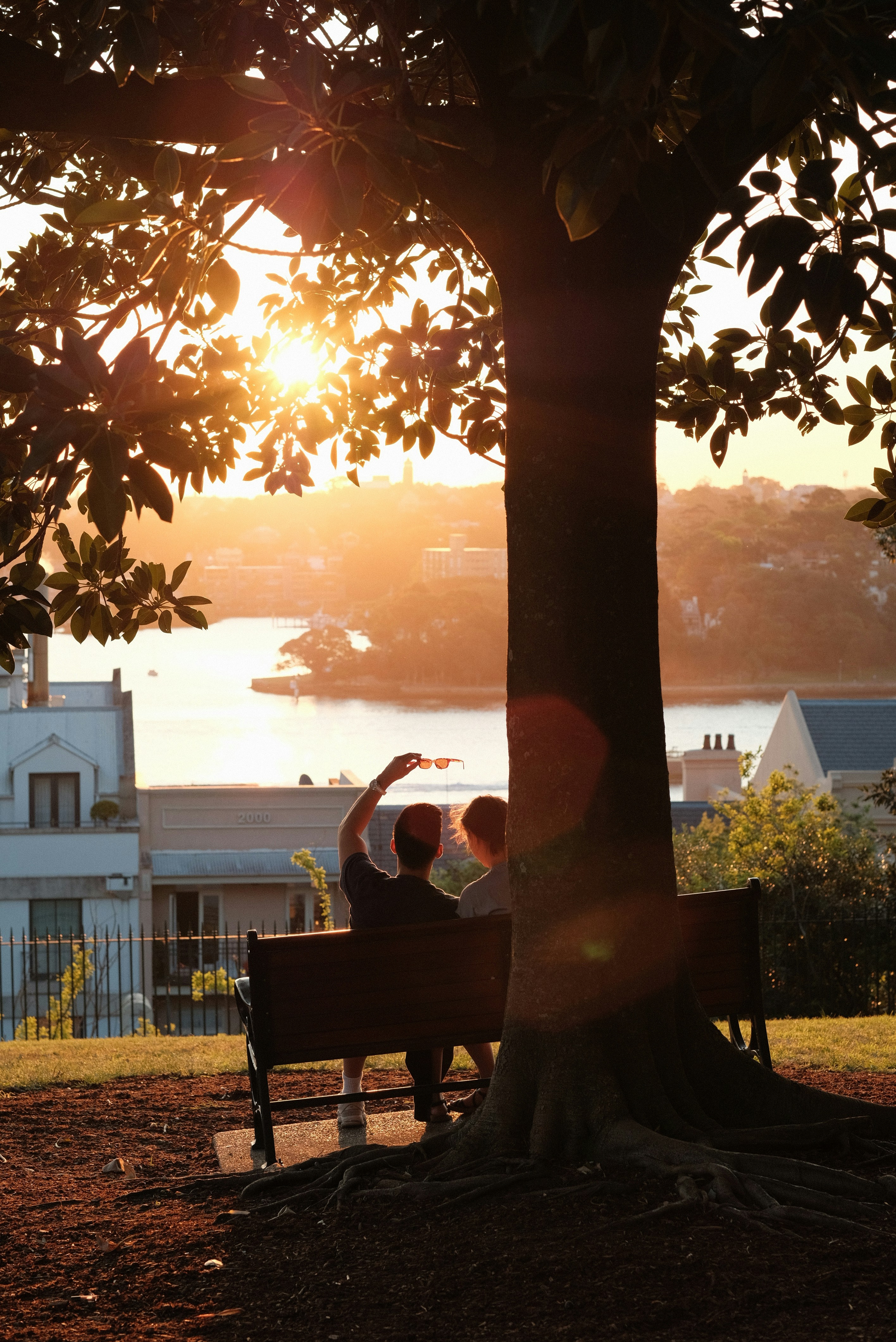 Golden Hour by the Riverside: A Park Bench Portrait Beneath the Tree