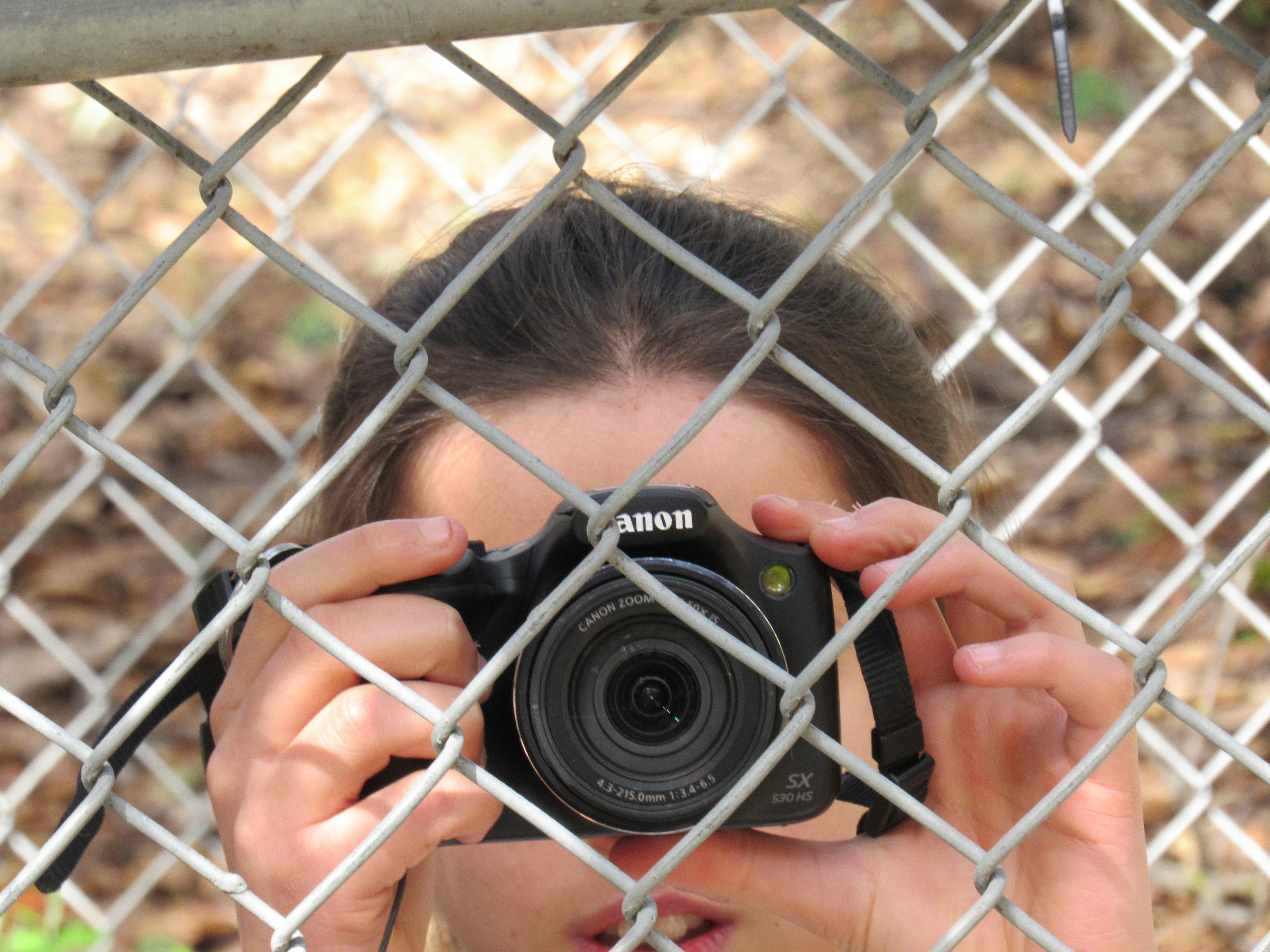 Chain-Link Frame, Focused Through a Canon PowerShot SX530 HS