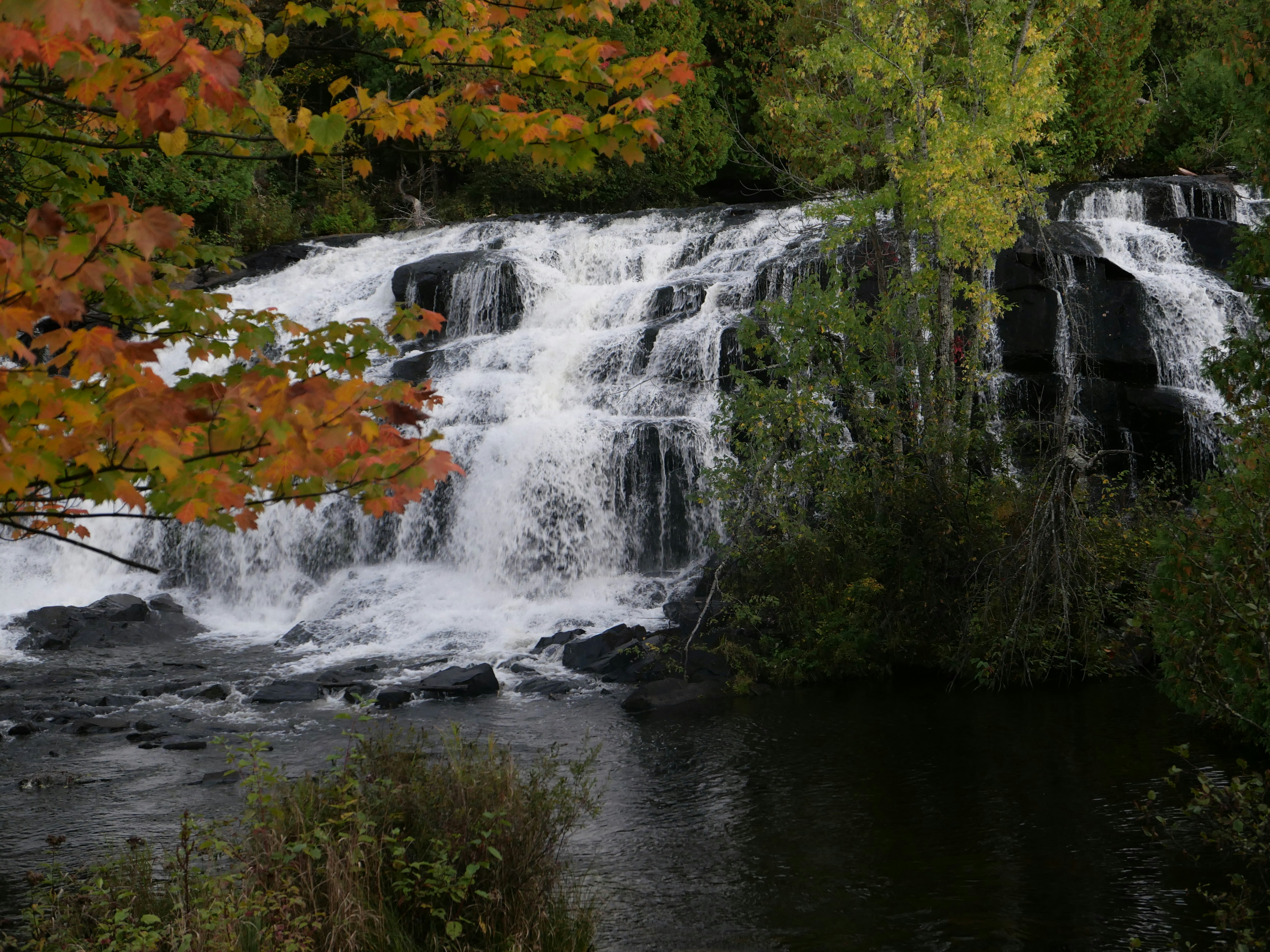 A small waterfall in a wooded area surrounded by trees photo – Free ...