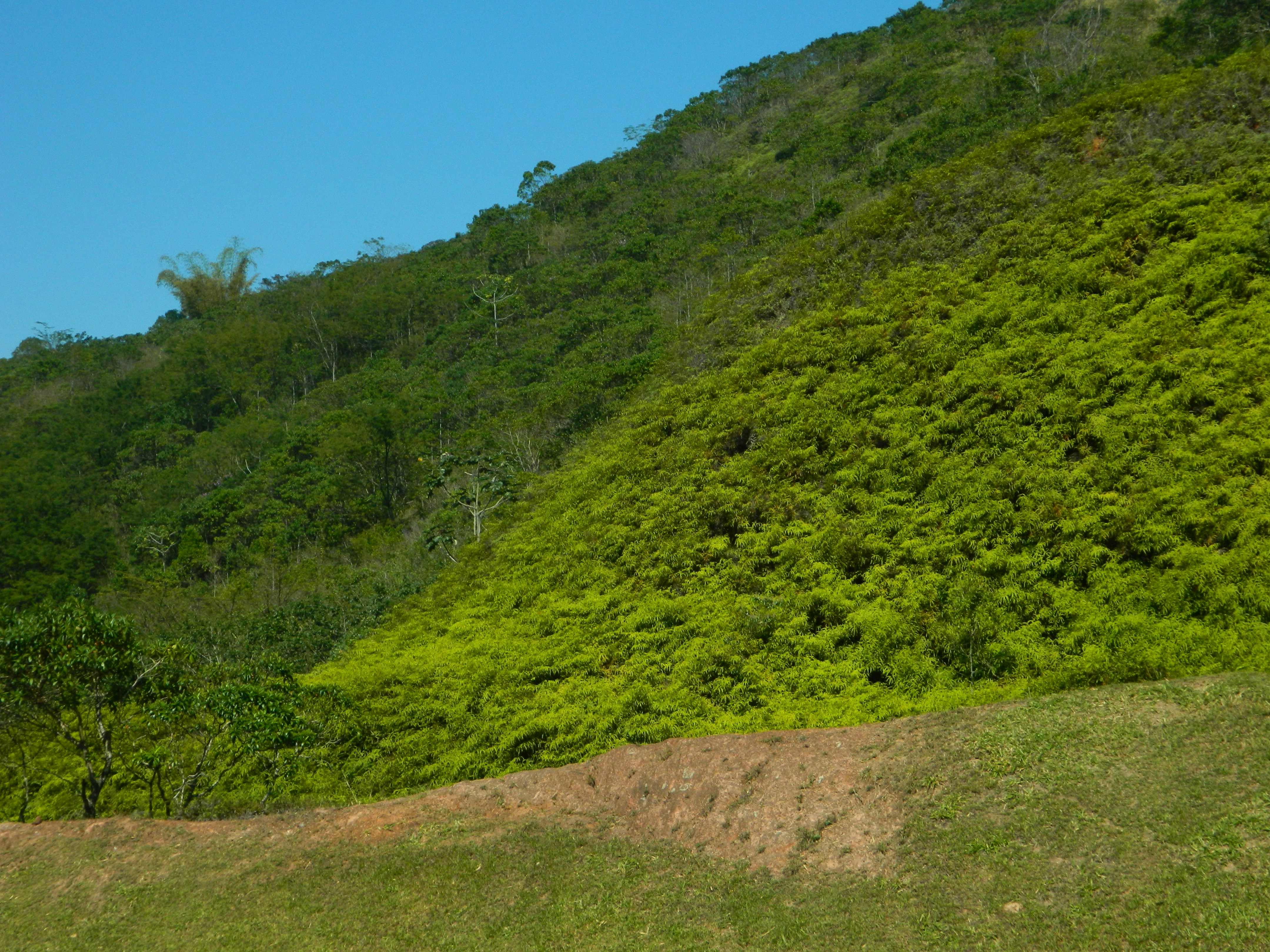 Photo by ashinJPG with Nikon Coolpix L120