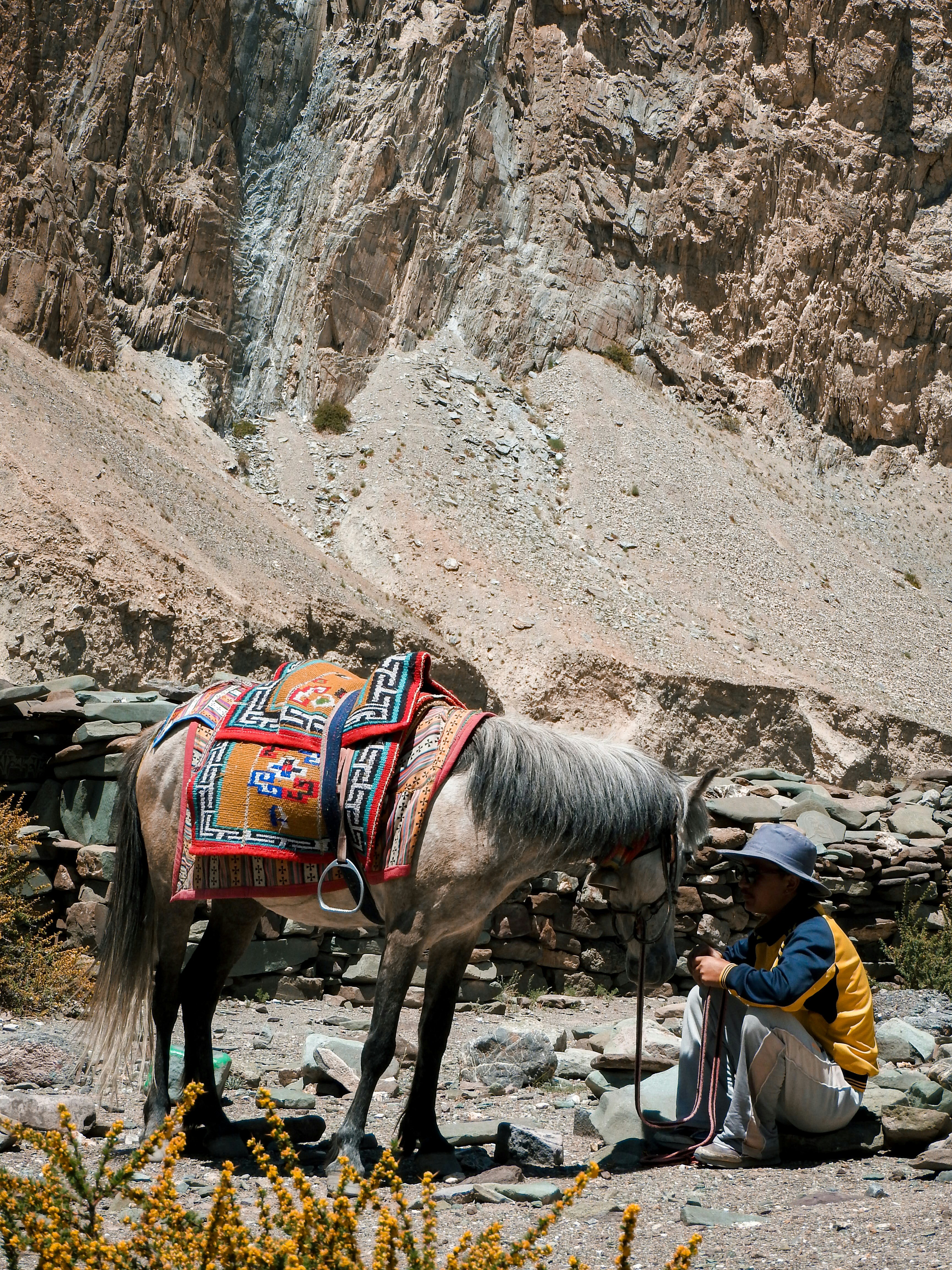 Saddle and Silence: A Muleteer and Horse by the Mountain Alcove