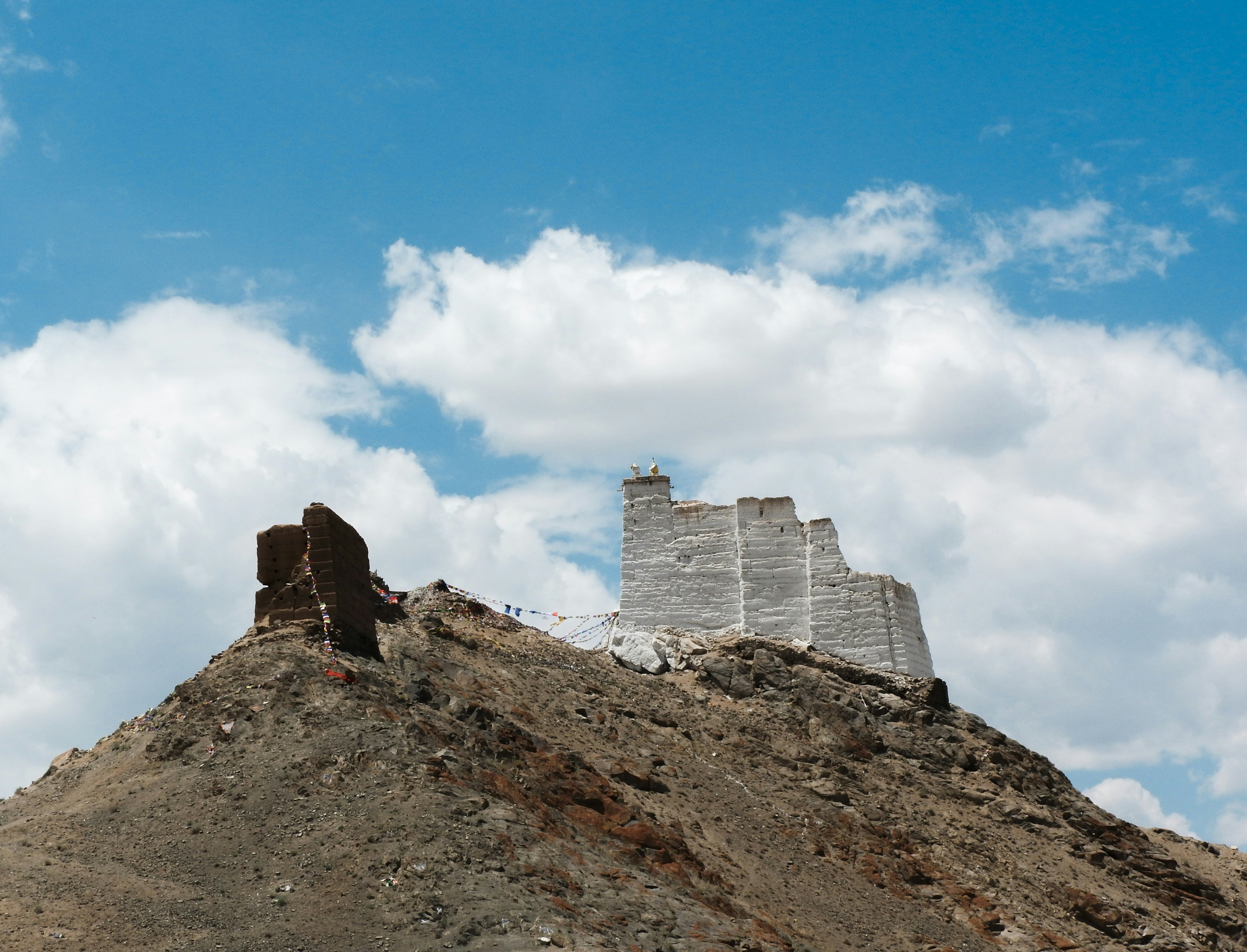 Photo by Tomoki Iwata with Nikon COOLPIX P610