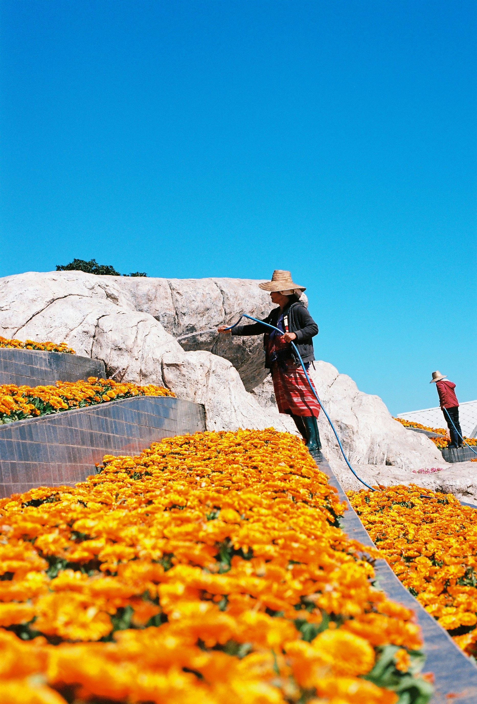 Photo by Thomas de Fretes with Fujifilm SP-3000