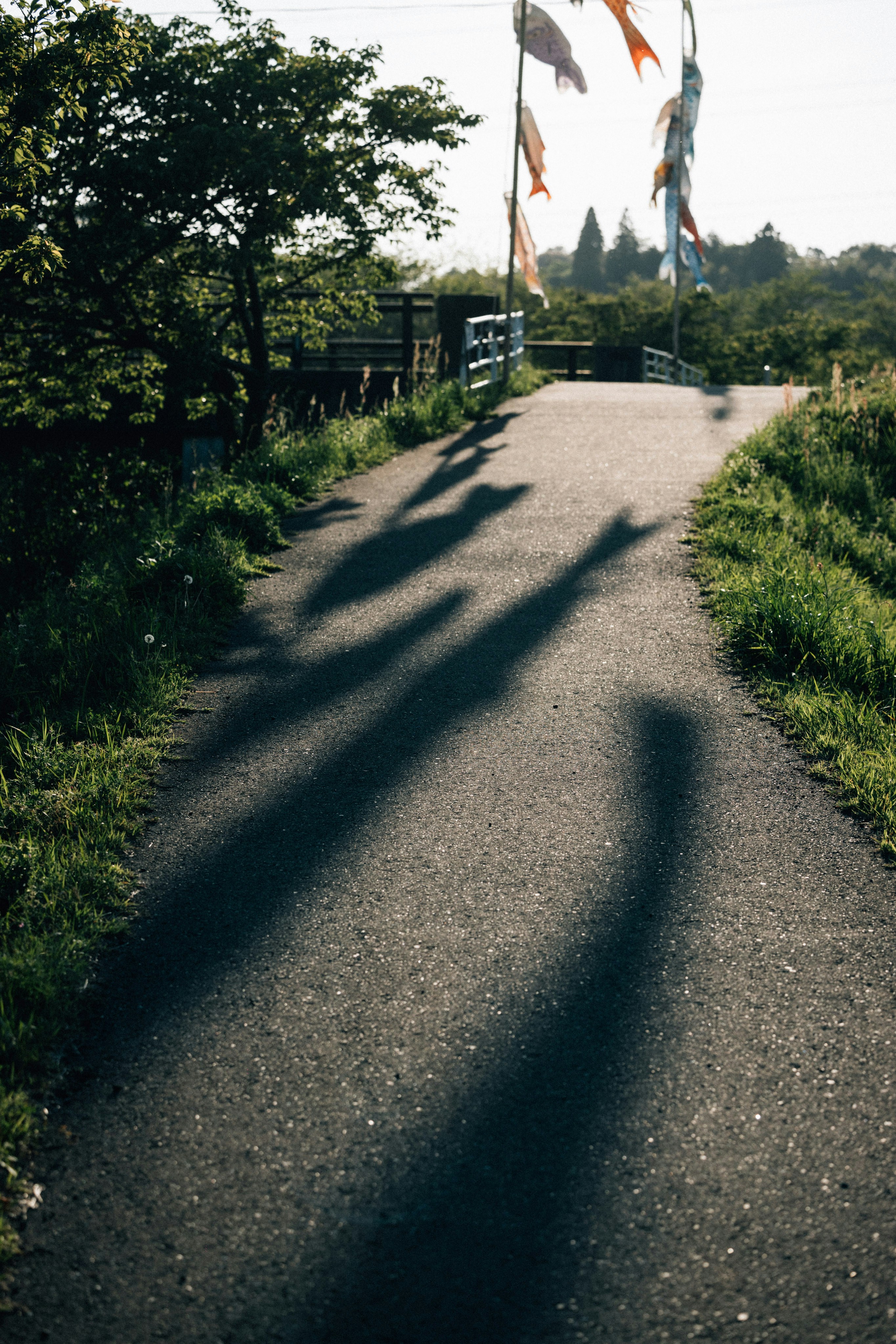 A paved road with flags flying in the wind photo – Free Carp streamer ...