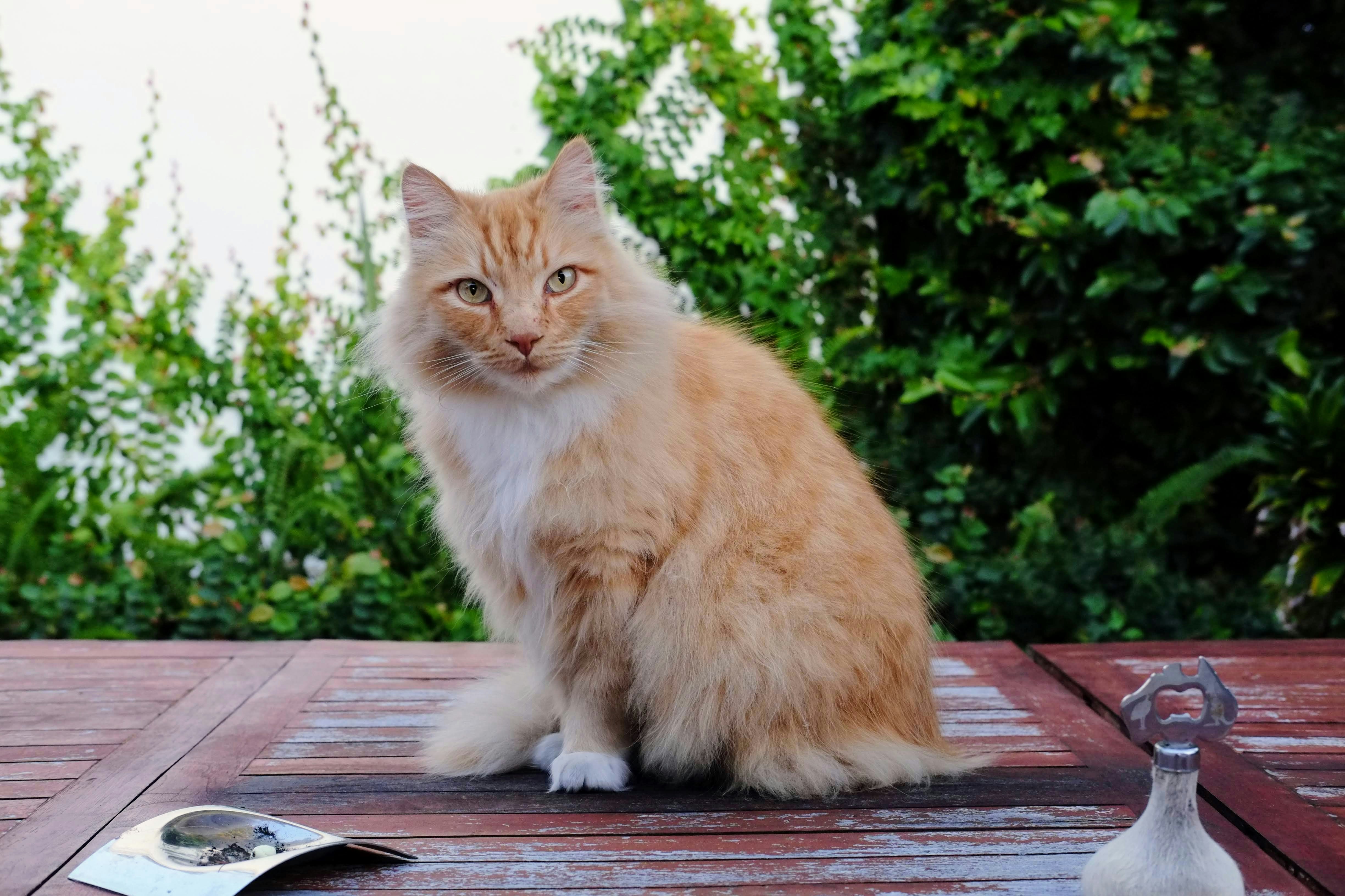 Matthew Robin Dix (@lowkeydotclub) | Communauté photos Unsplash