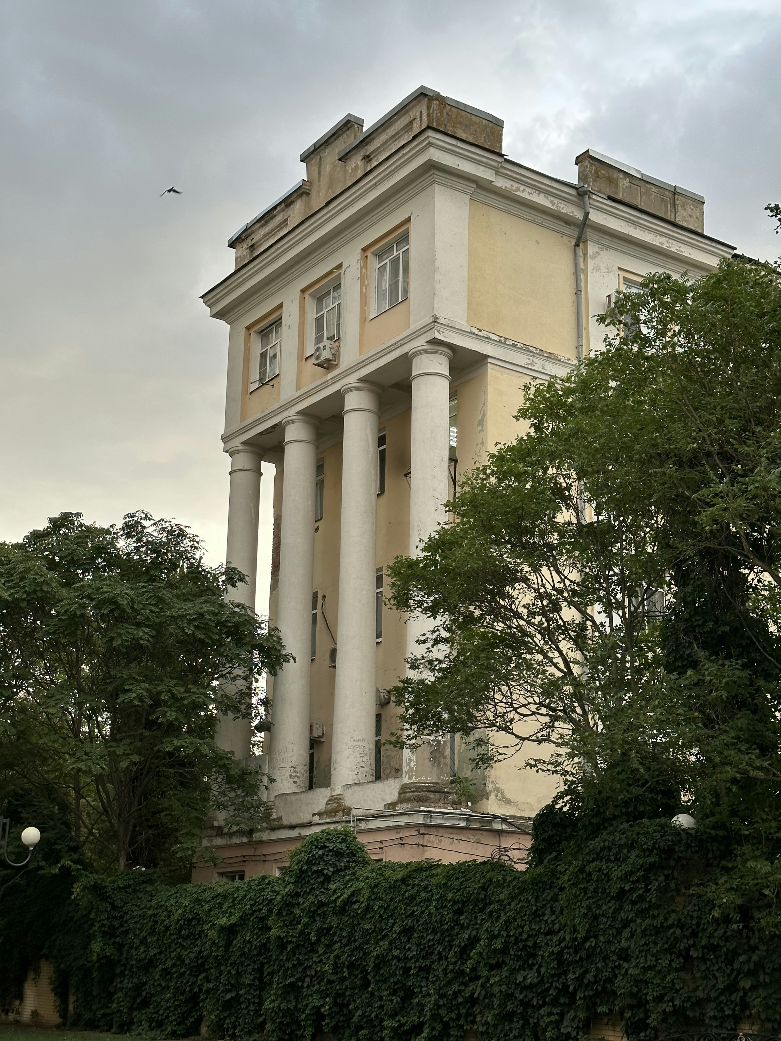 Weathered Neoclassical Columns Framed by Ivy Under a Moody Sky