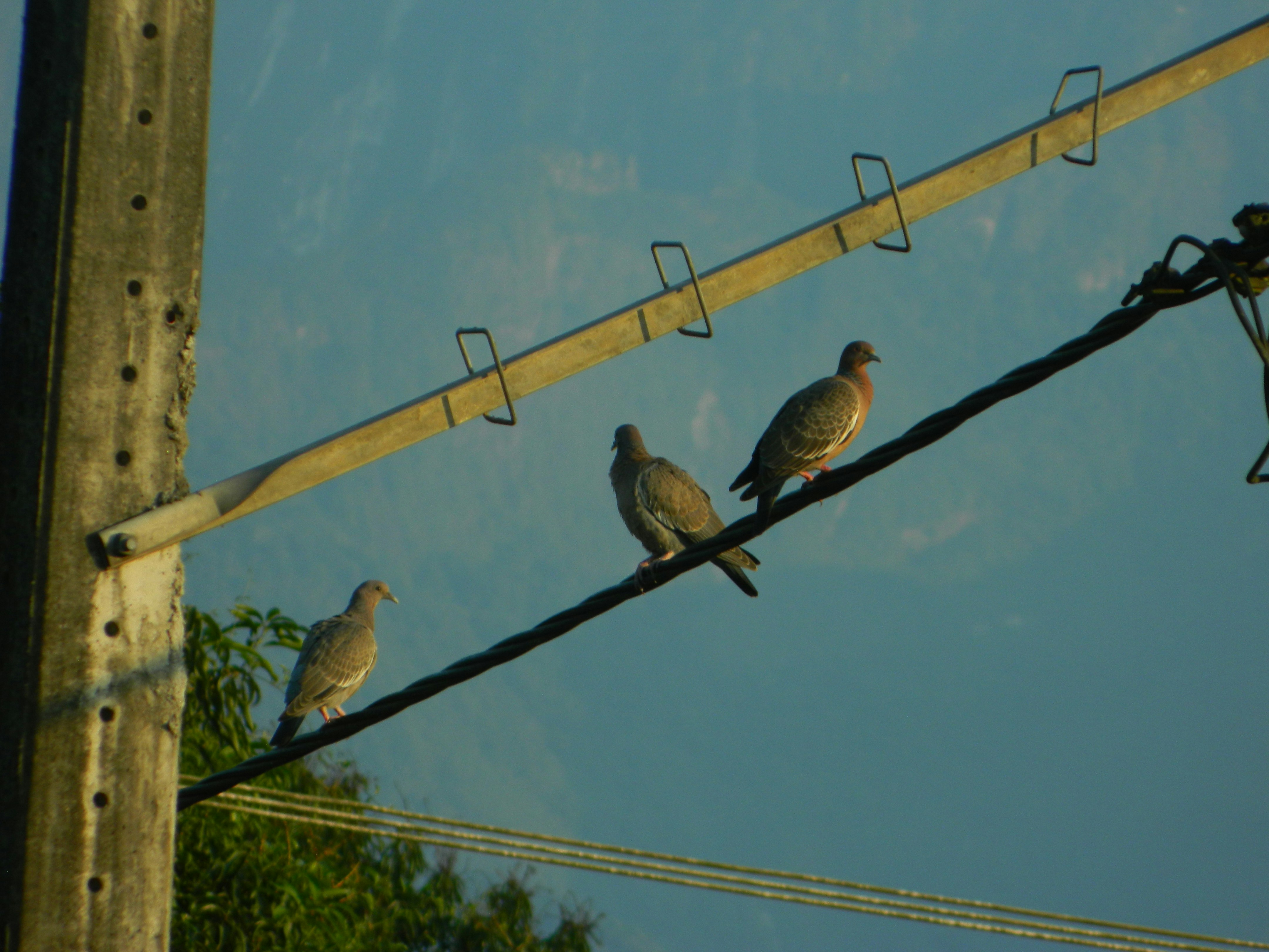 Photo by ashinJPG with Nikon Coolpix L120