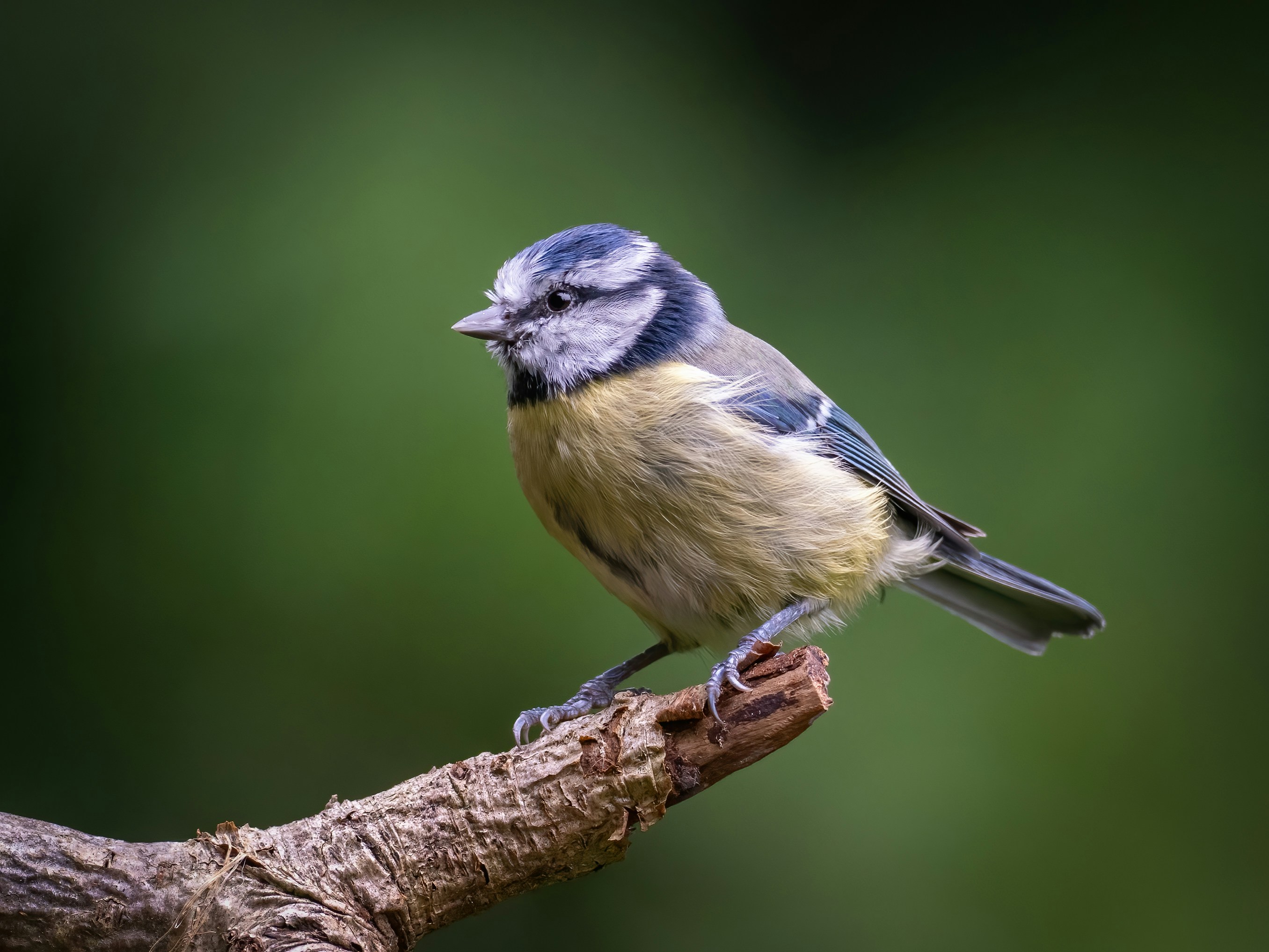 Photo by Doncoombez with OM System OM-1