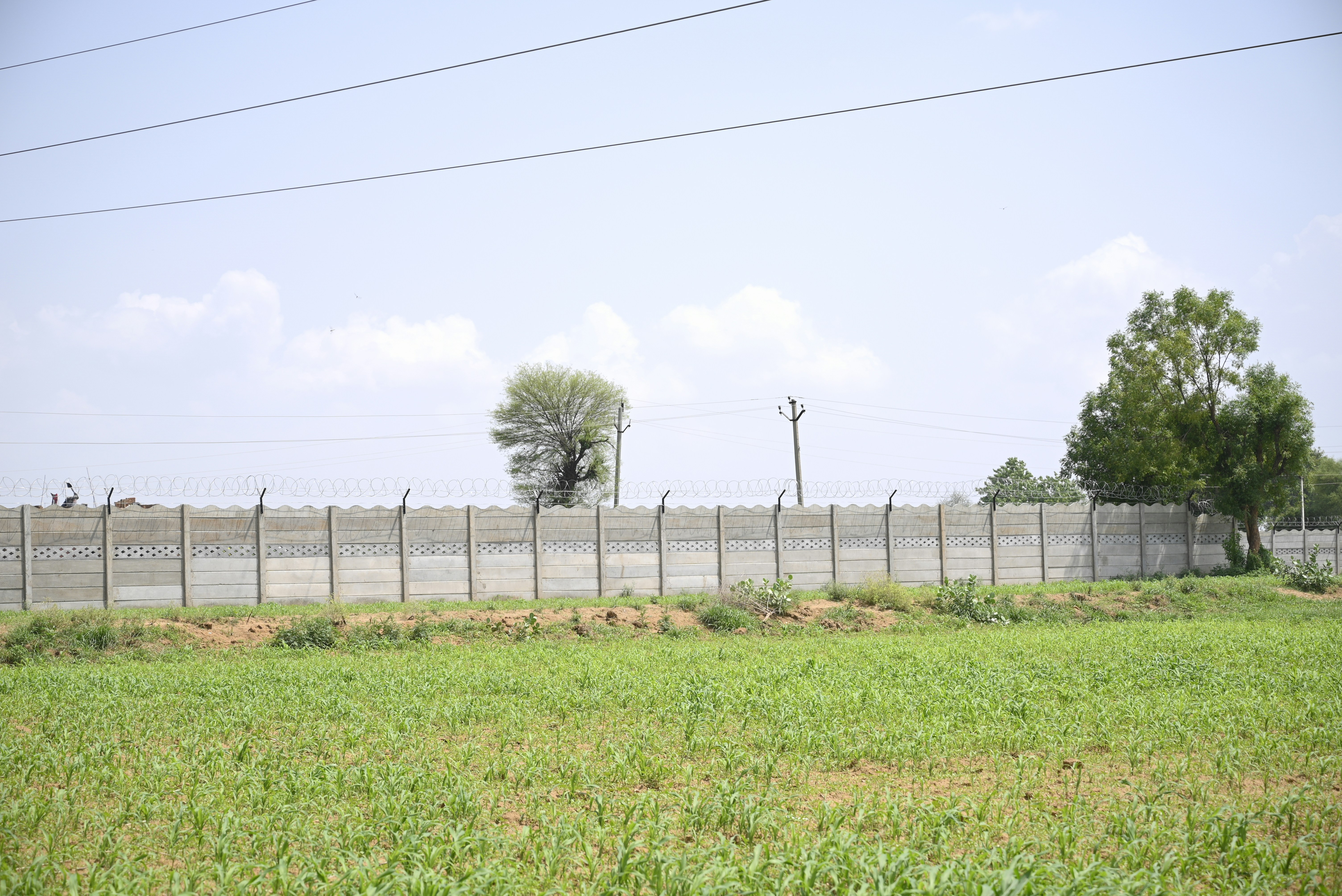 Line of Watchful Cables over a Quiet Field