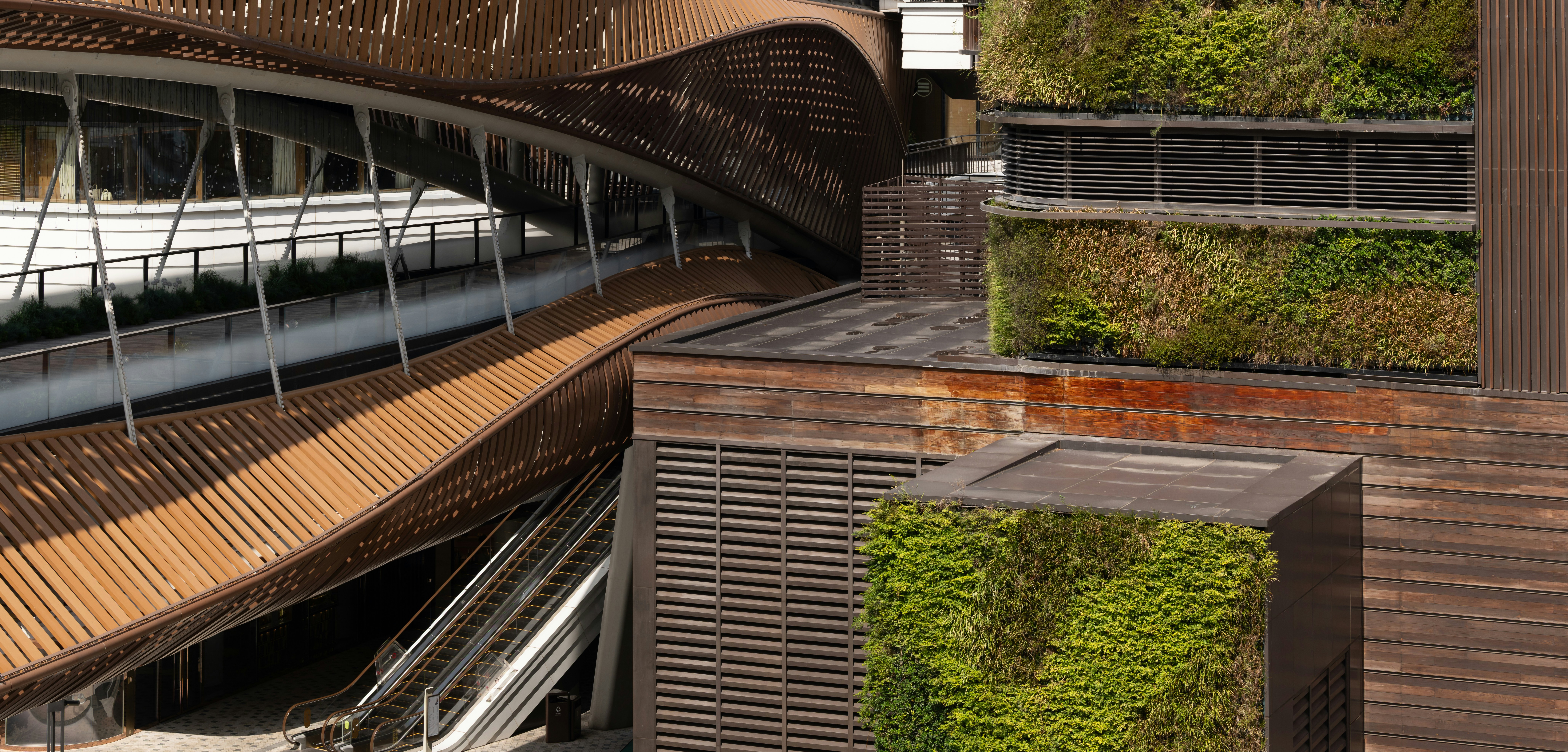 Curved Timber Walkways Framing a Green Facade in a Modern Atrium