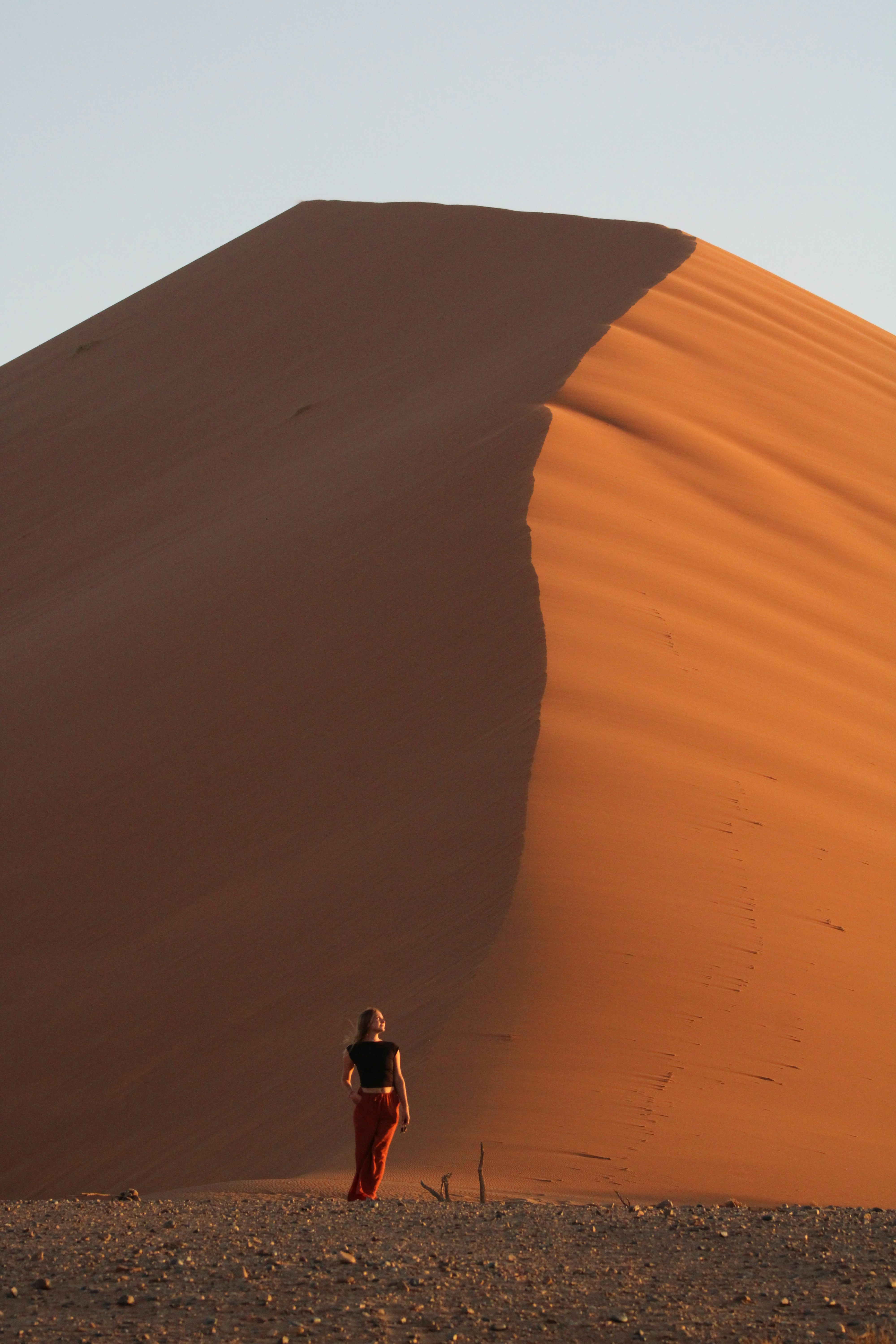 A person standing in the middle of a desert photo – Free Photo Image on ...